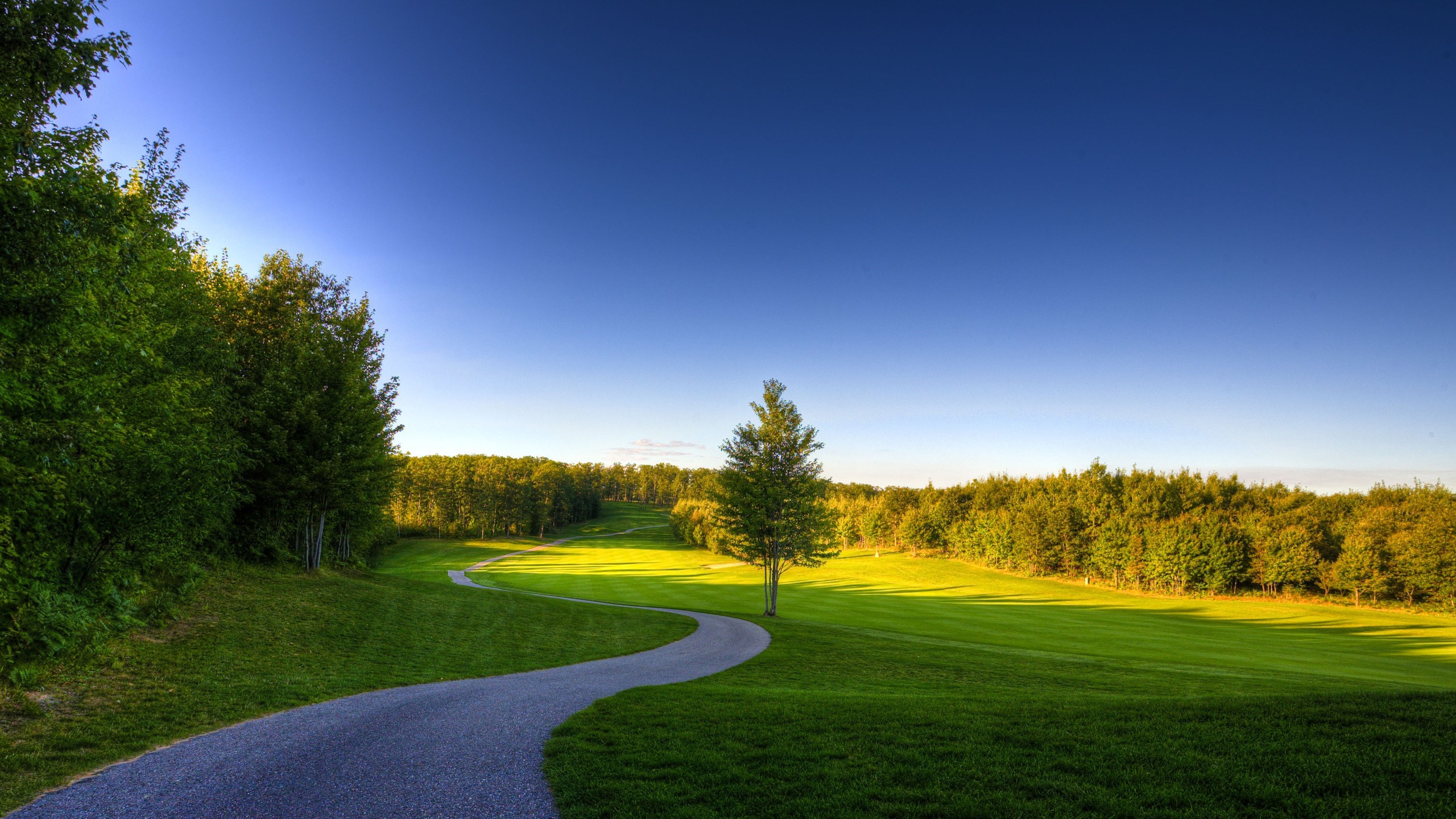 Road Summer Wallpapers - Wallpaper Cave