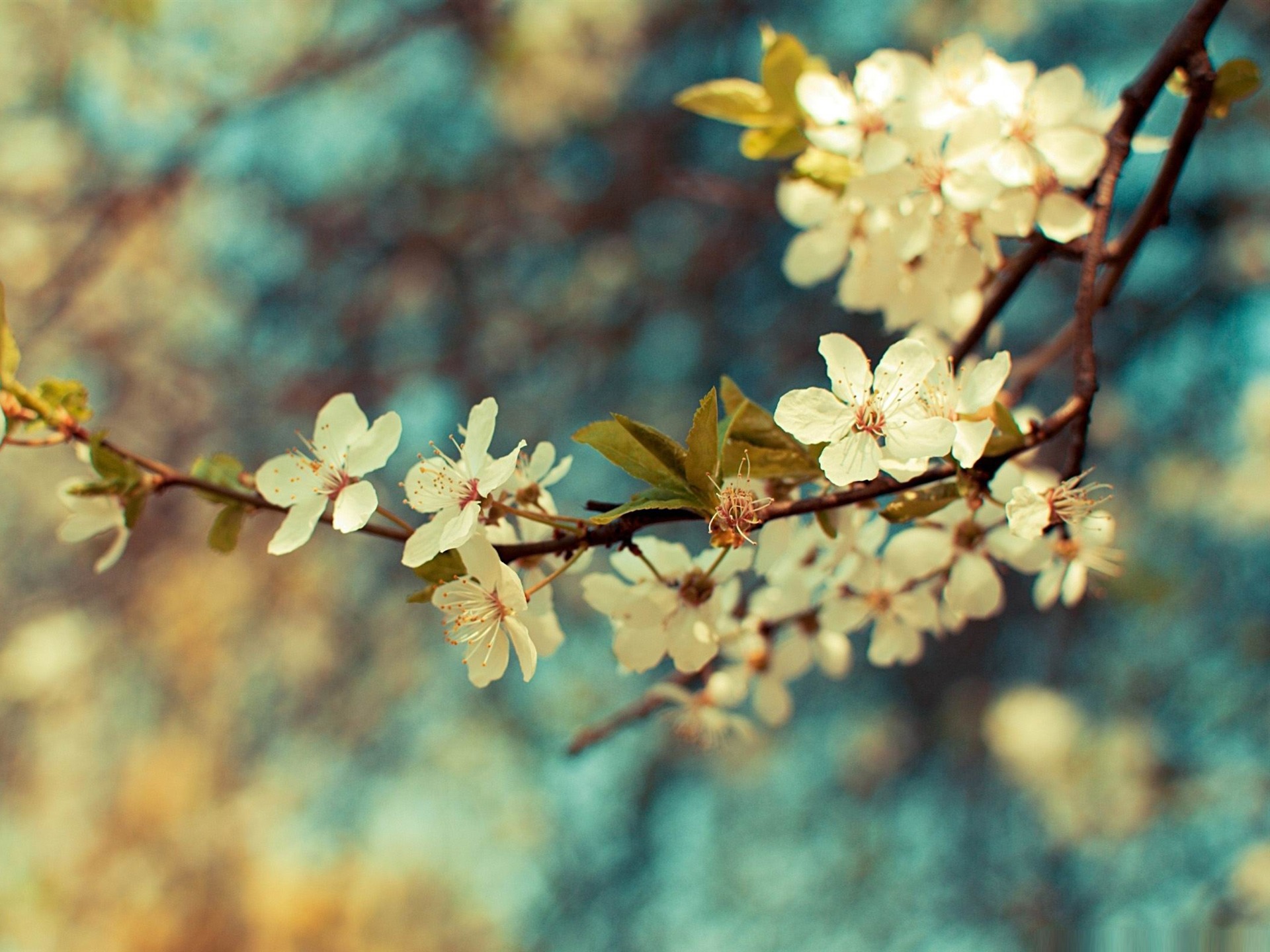 4k Spring PC Wallpapers - Wallpaper Cave