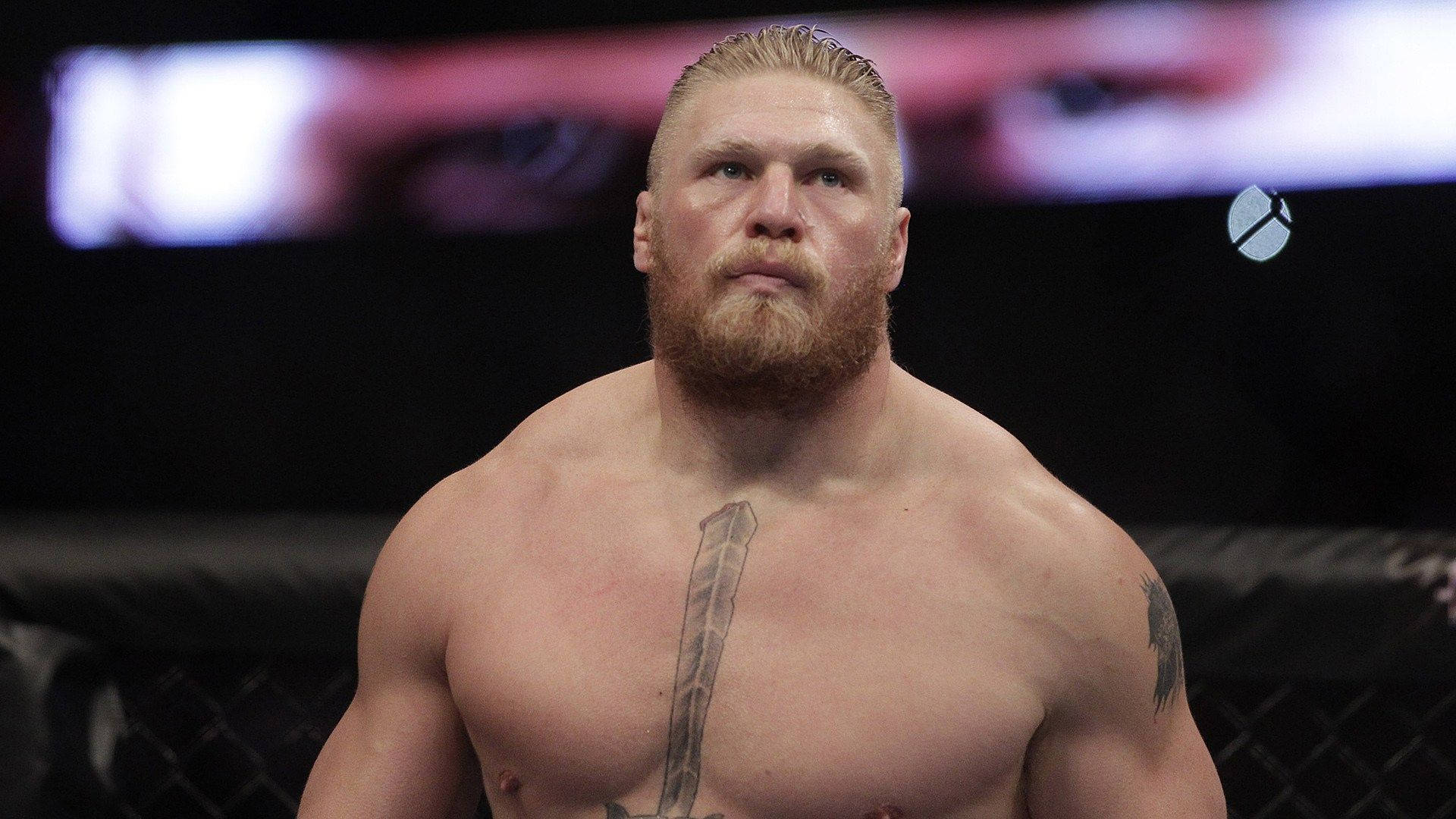 Brock Lesnar Desktop Wallpapers - Wallpaper Cave
