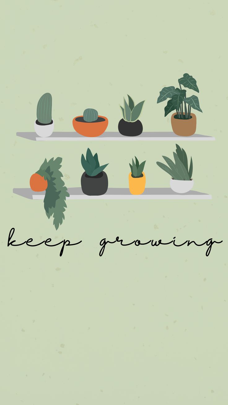 Phone Plant Wallpapers - Wallpaper Cave