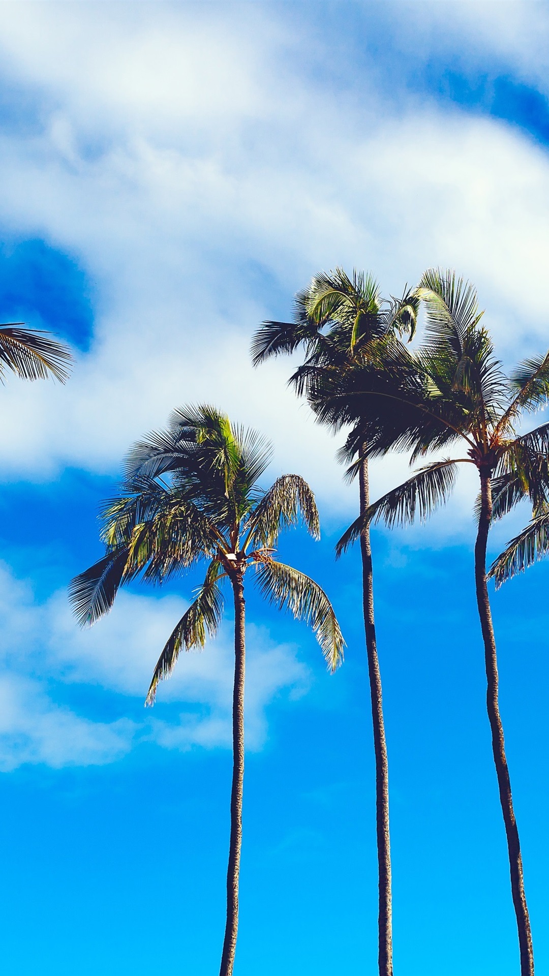 Summer Blue Sky Wallpapers - Wallpaper Cave
