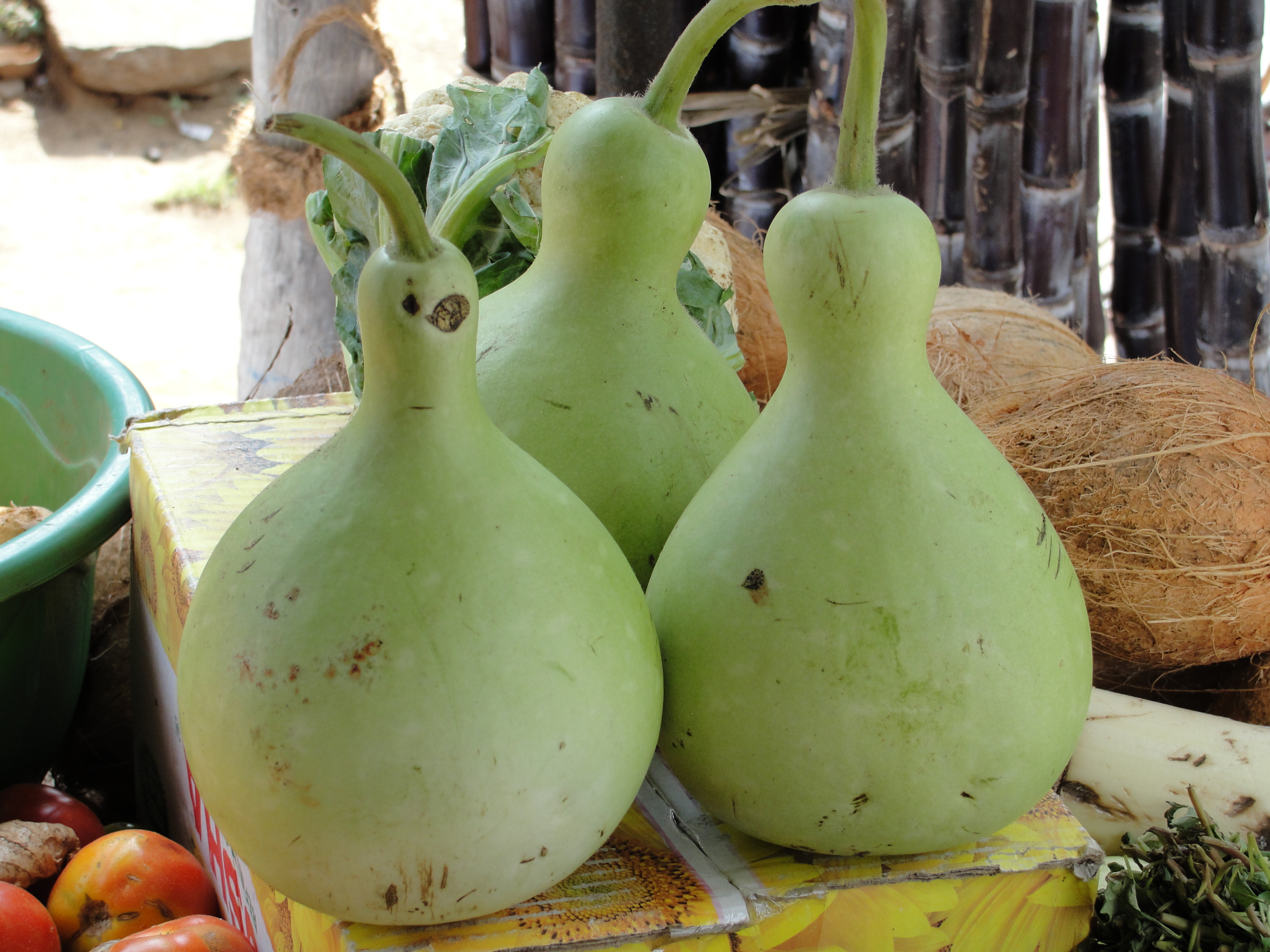Bottle Gourd Wallpapers - Wallpaper Cave