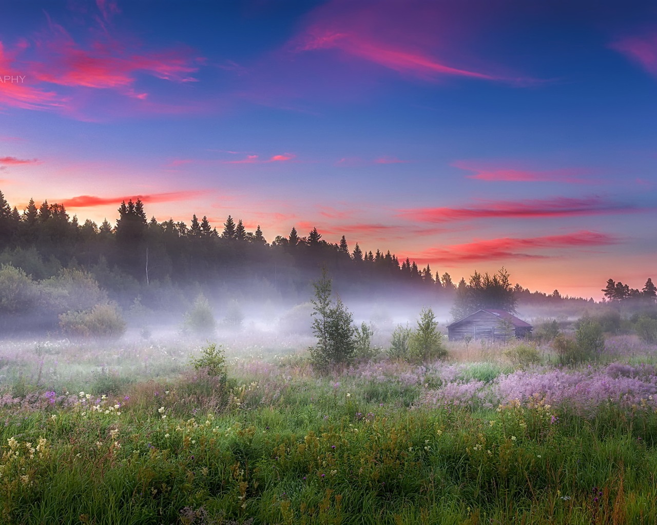 Morning Summer Wallpapers - Wallpaper Cave