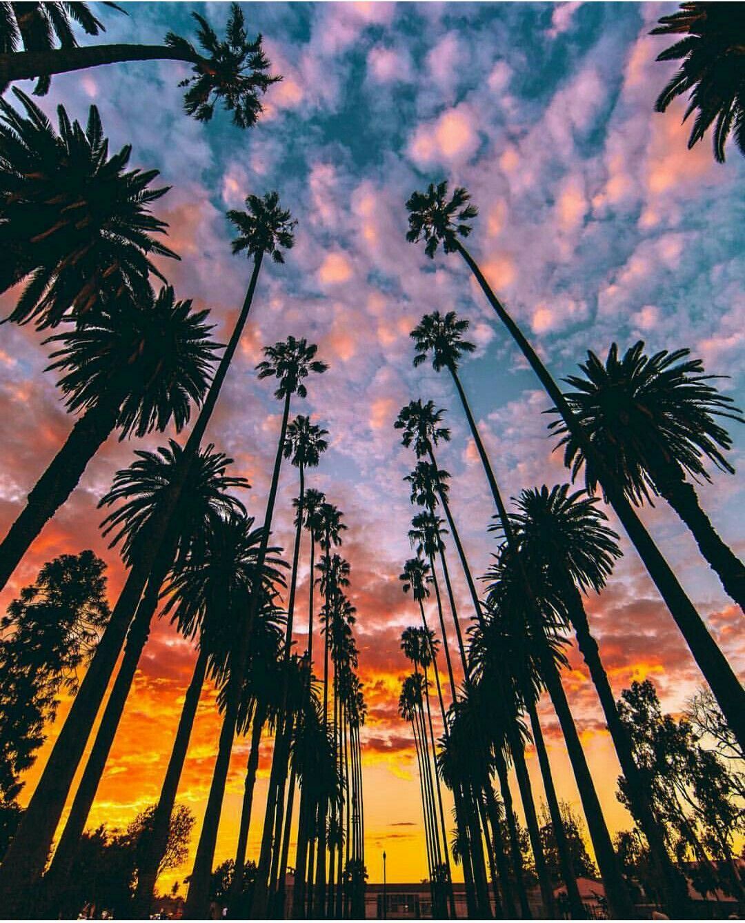 Los Angeles California Summer Wallpapers - Wallpaper Cave