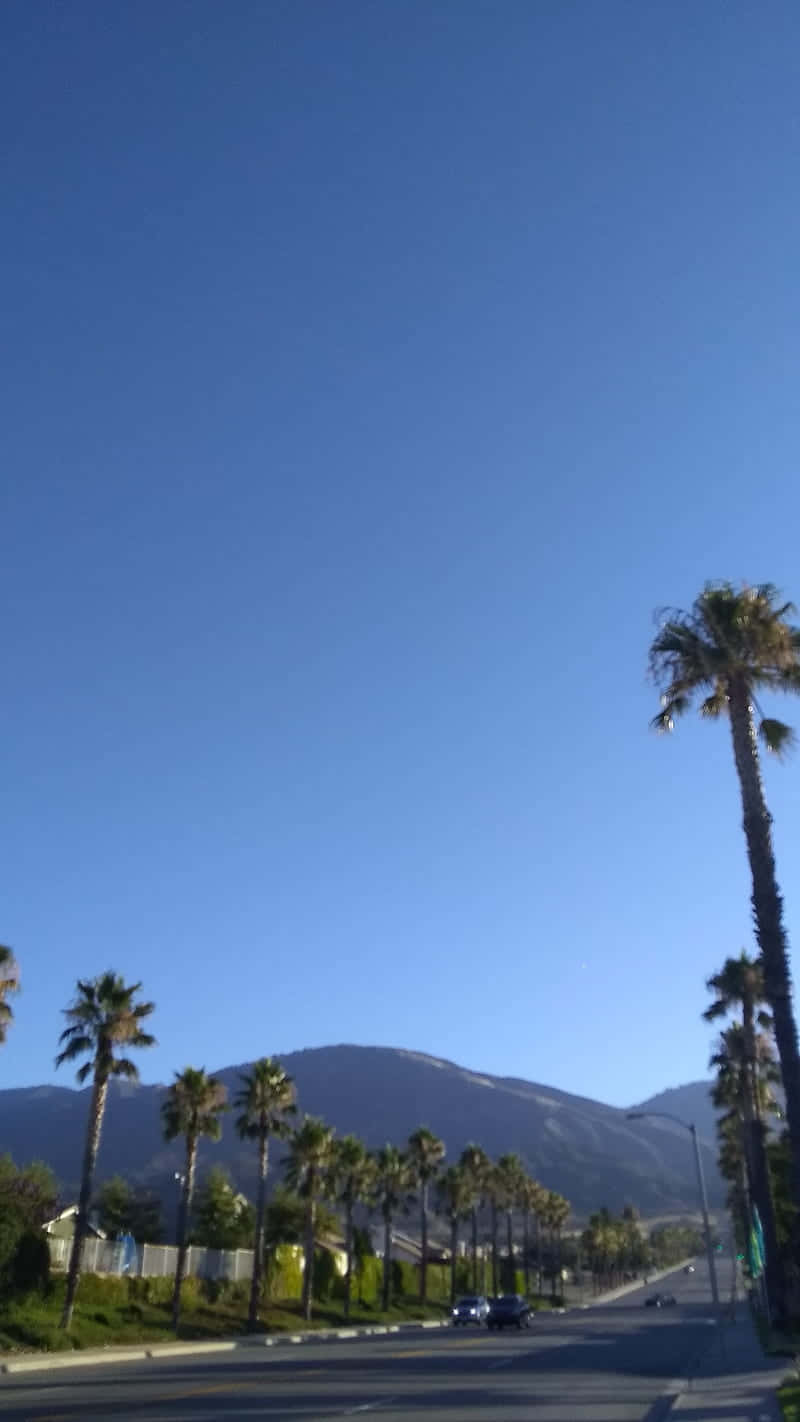 Los Angeles California Summer Wallpapers - Wallpaper Cave