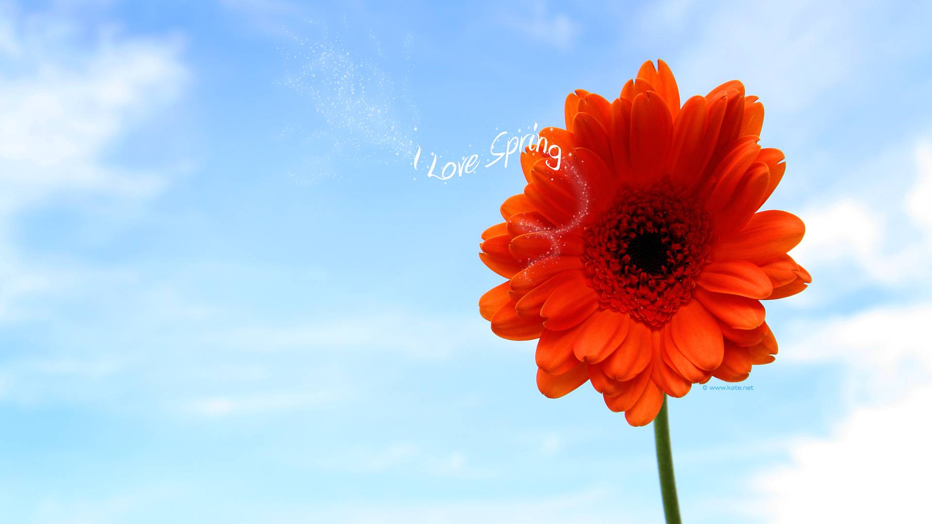 I Love Spring Wallpapers - Wallpaper Cave