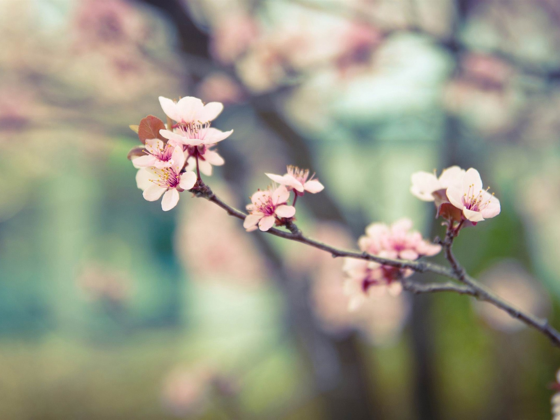 I Love Spring Wallpapers - Wallpaper Cave