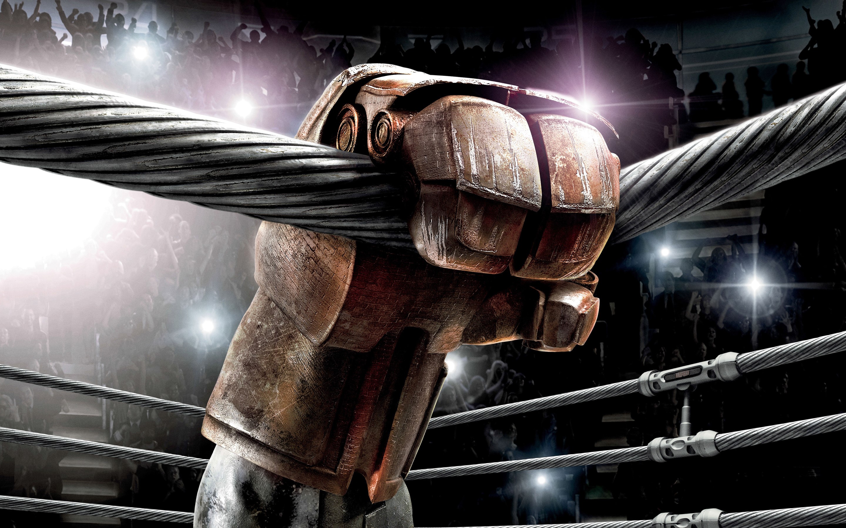 Boxing 4k Wallpapers - Wallpaper Cave