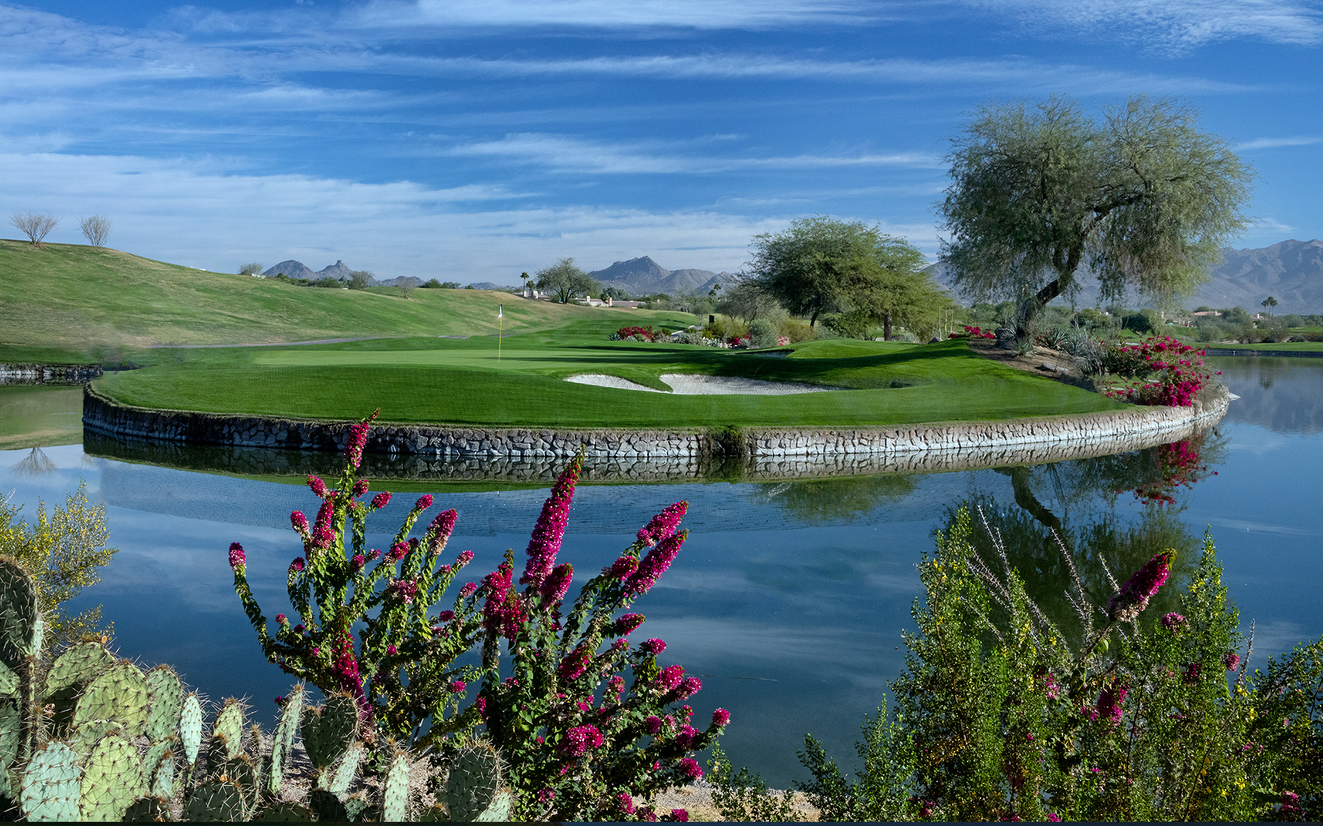 Colaboración Con Tpc Wallpaper