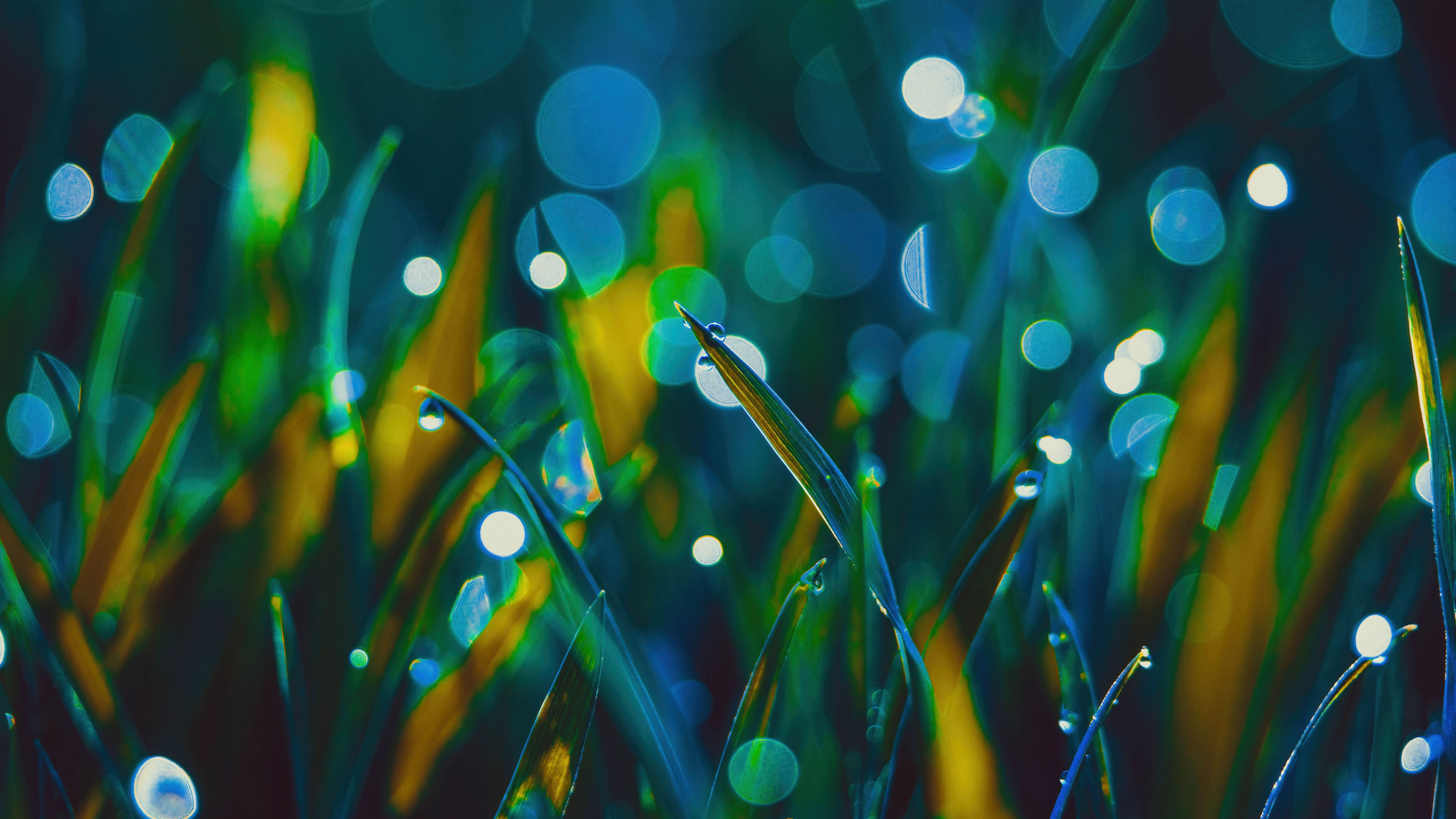 4k Grass Wallpapers - Wallpaper Cave