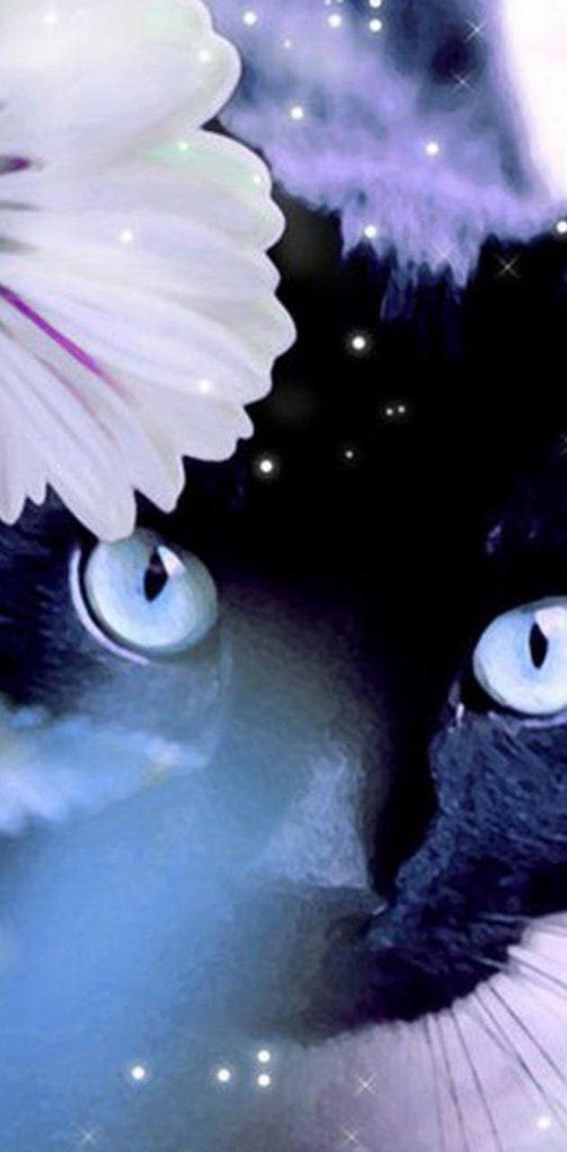 Cat With Light Violet Flowers Wallpapers - Wallpaper Cave