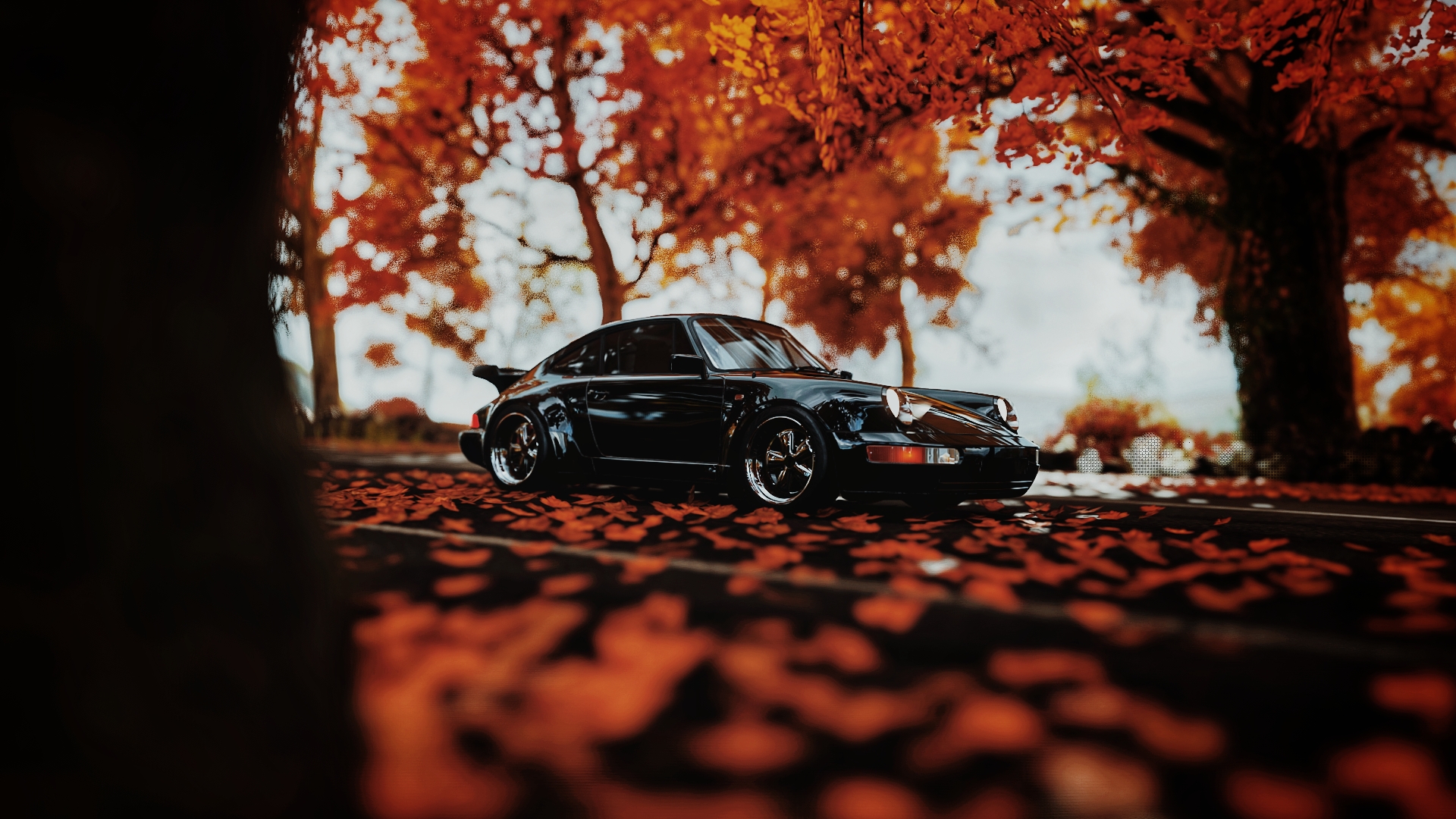 Porsche Autumn Road Wallpapers