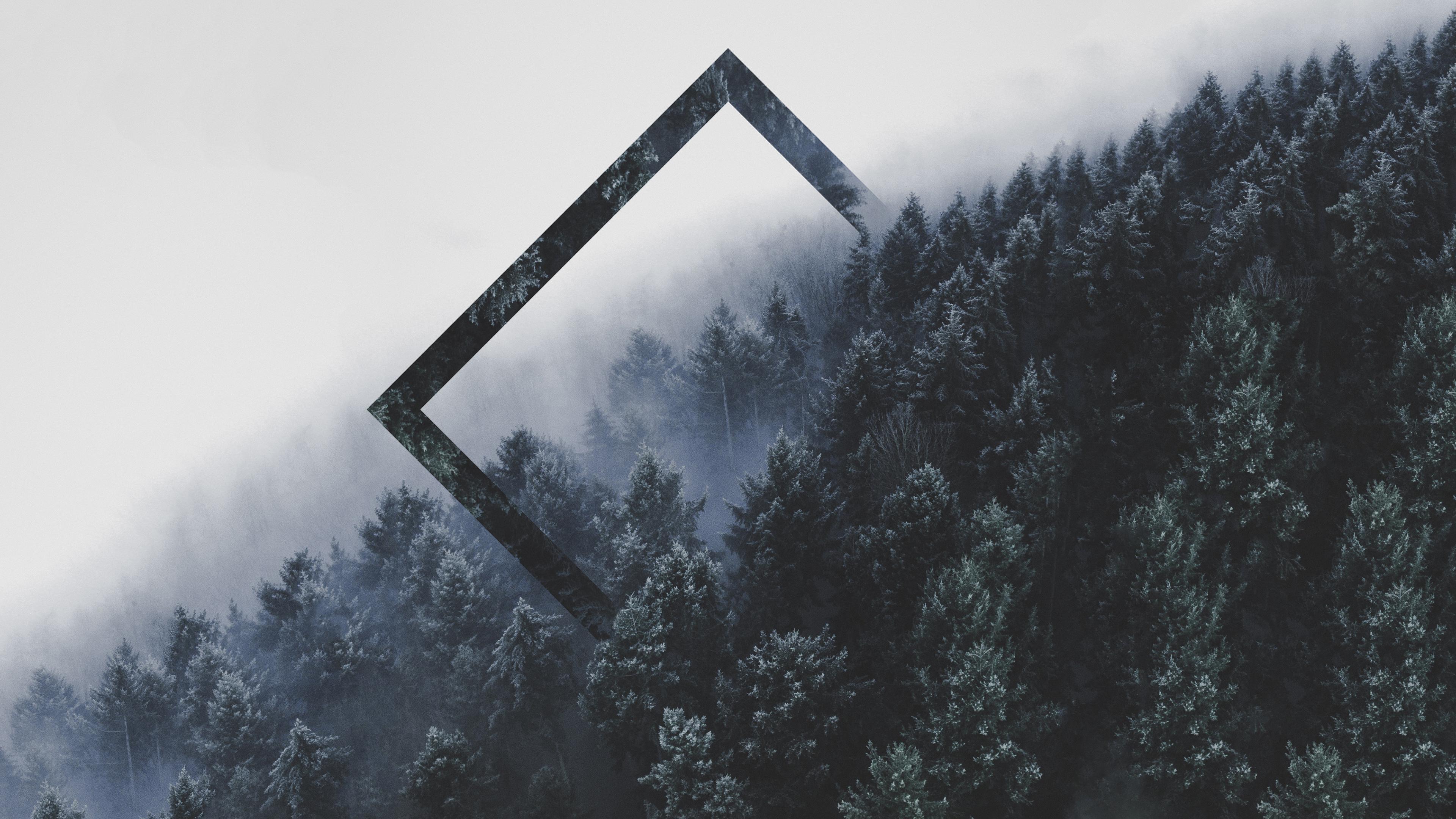 Woods 4k Wallpapers - Wallpaper Cave