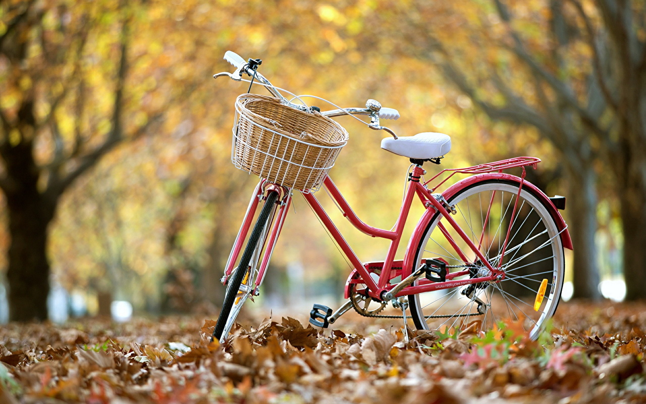 Autumn Bike Wallpapers - Wallpaper Cave