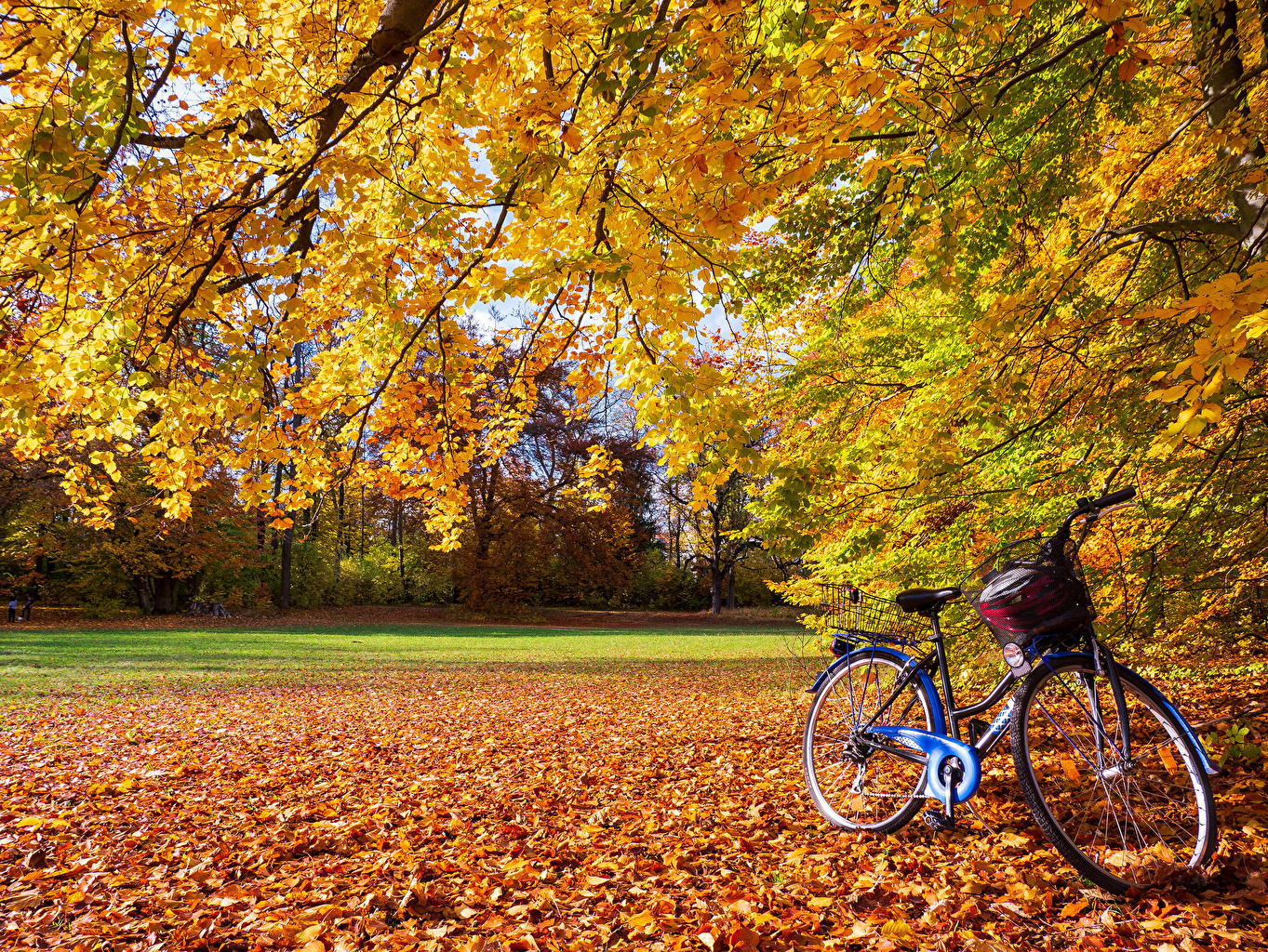 Autumn Bike Wallpapers - Wallpaper Cave