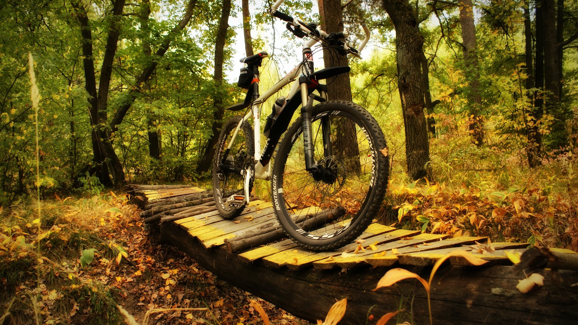 Autumn Bike Wallpapers - Wallpaper Cave