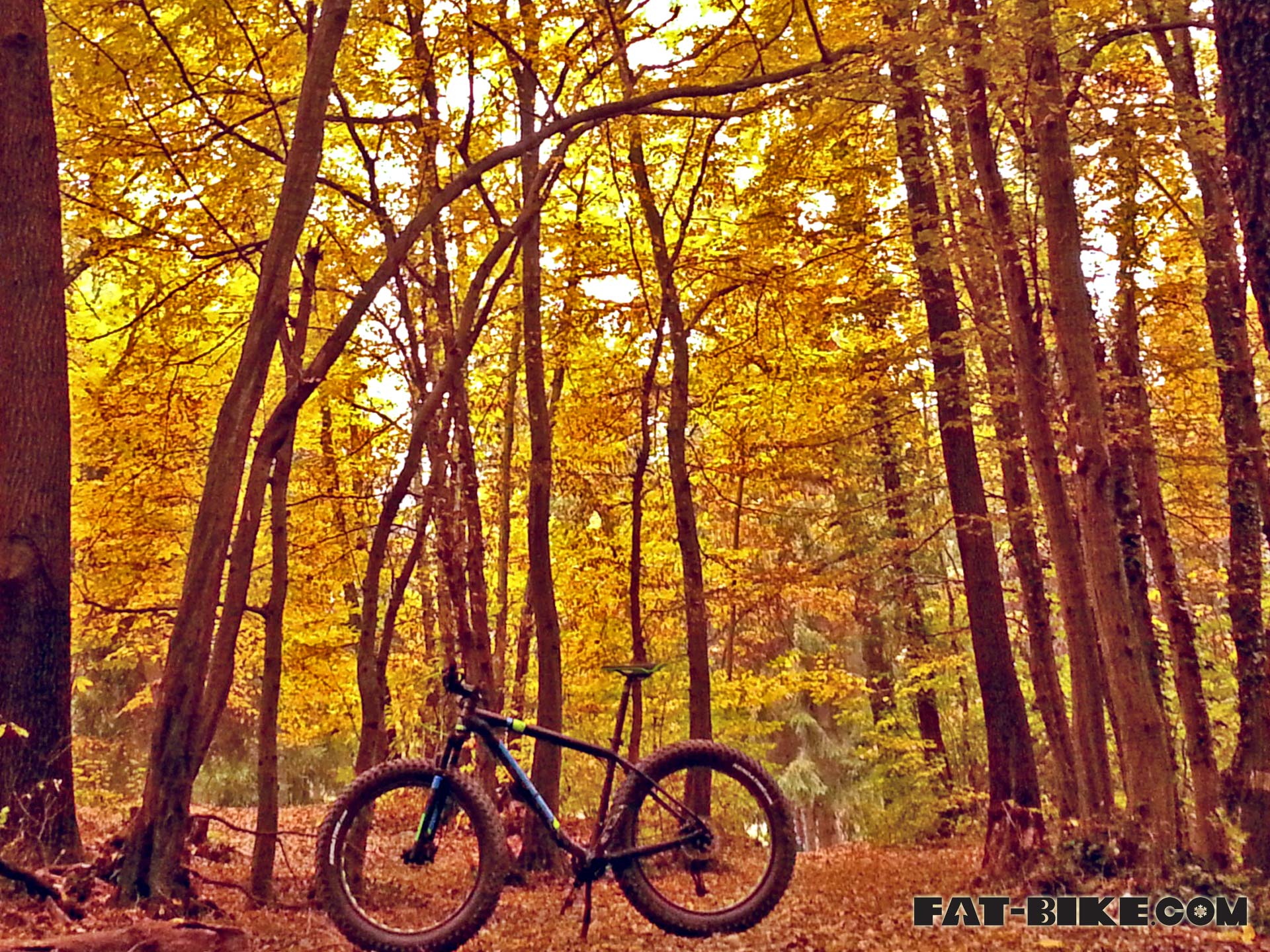 Autumn Bike Wallpapers - Wallpaper Cave