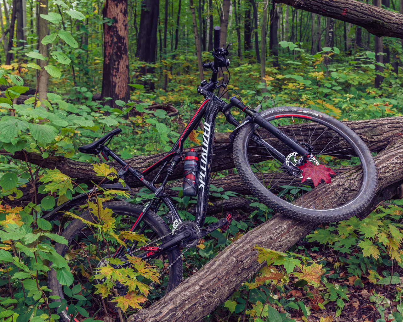 Autumn Bike Wallpapers - Wallpaper Cave