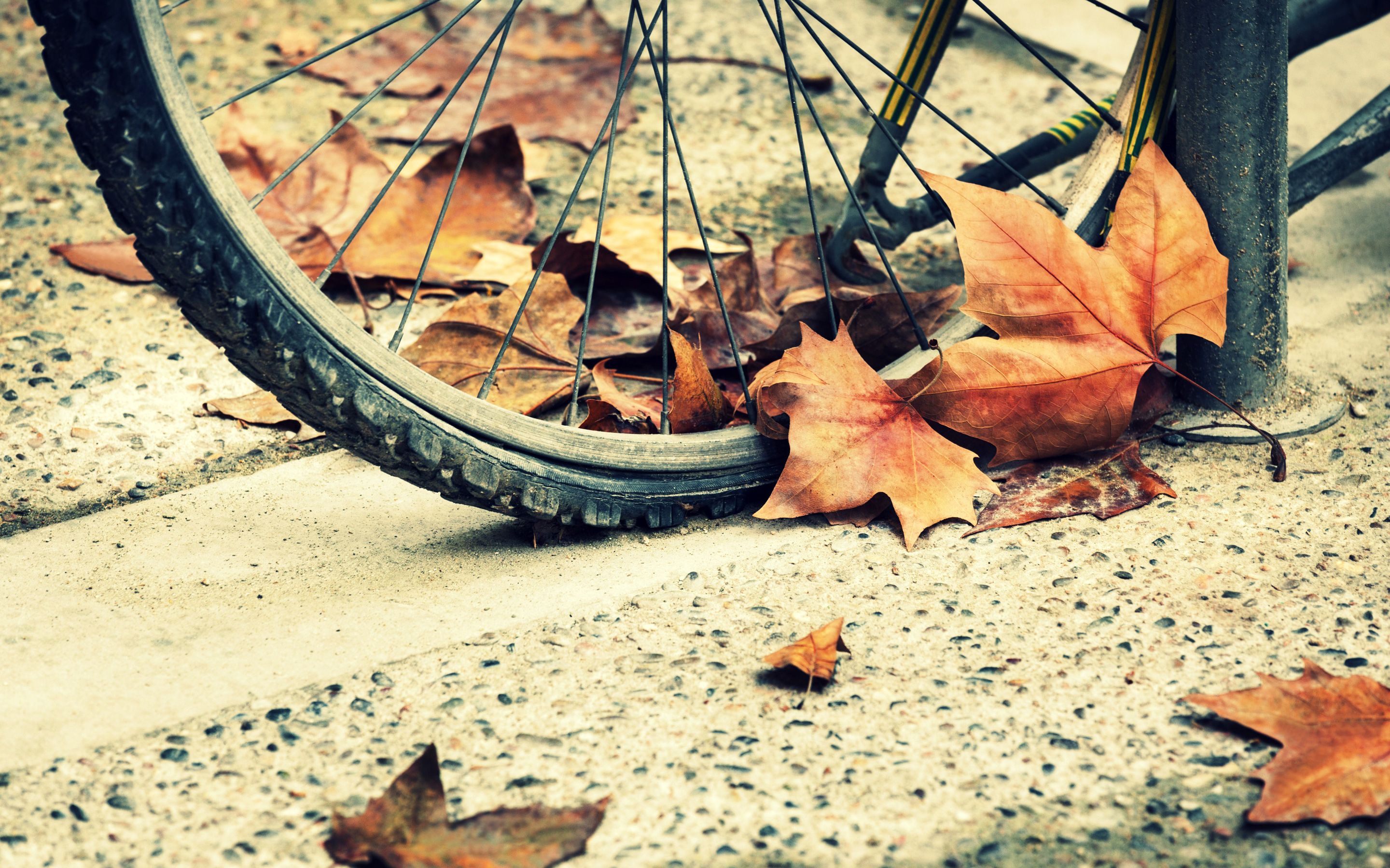 Autumn Bike Wallpapers - Wallpaper Cave
