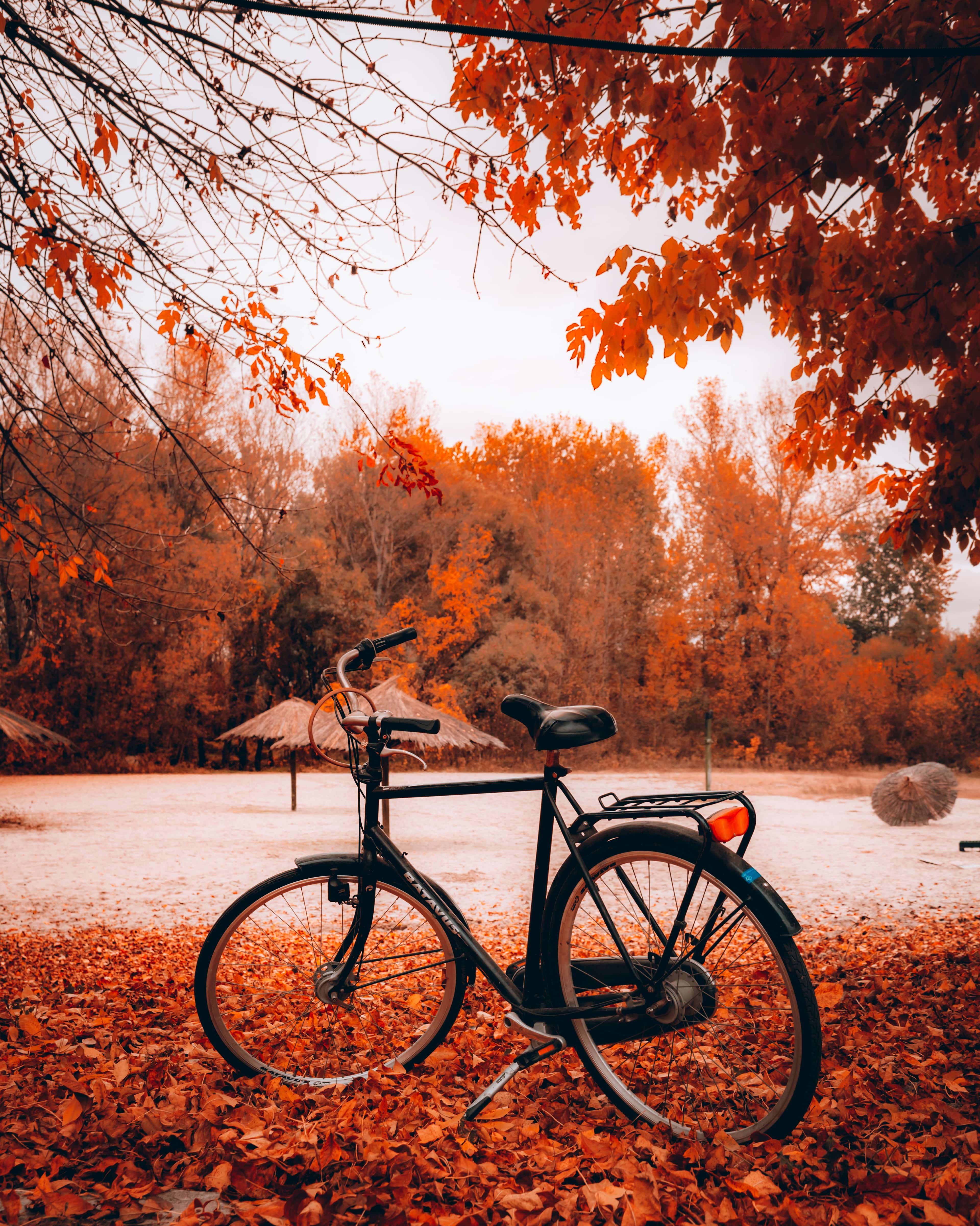 Autumn Bike Wallpapers - Wallpaper Cave