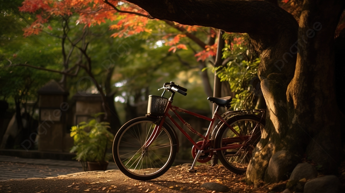 Autumn Bike Wallpapers - Wallpaper Cave