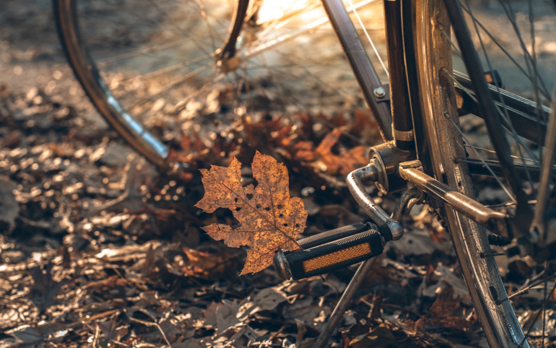 Autumn Bike Wallpapers - Wallpaper Cave