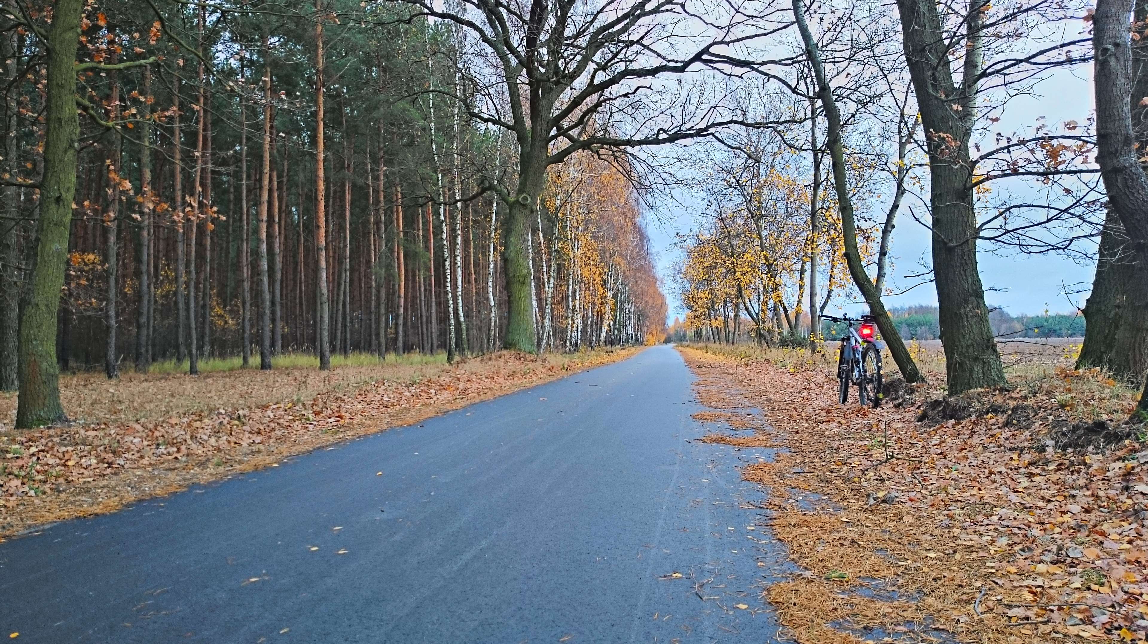 Autumn Bike Wallpapers - Wallpaper Cave