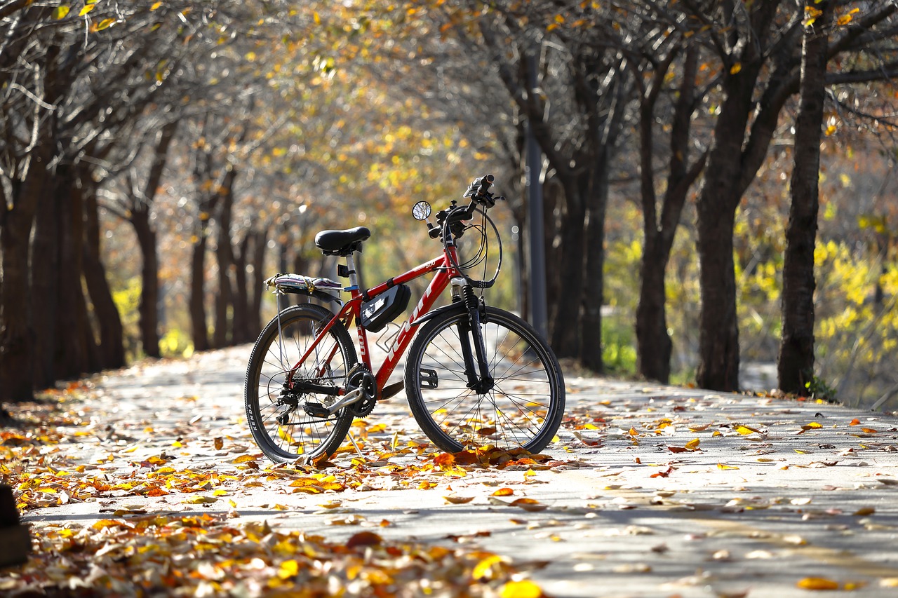 Autumn Bike Wallpapers - Wallpaper Cave
