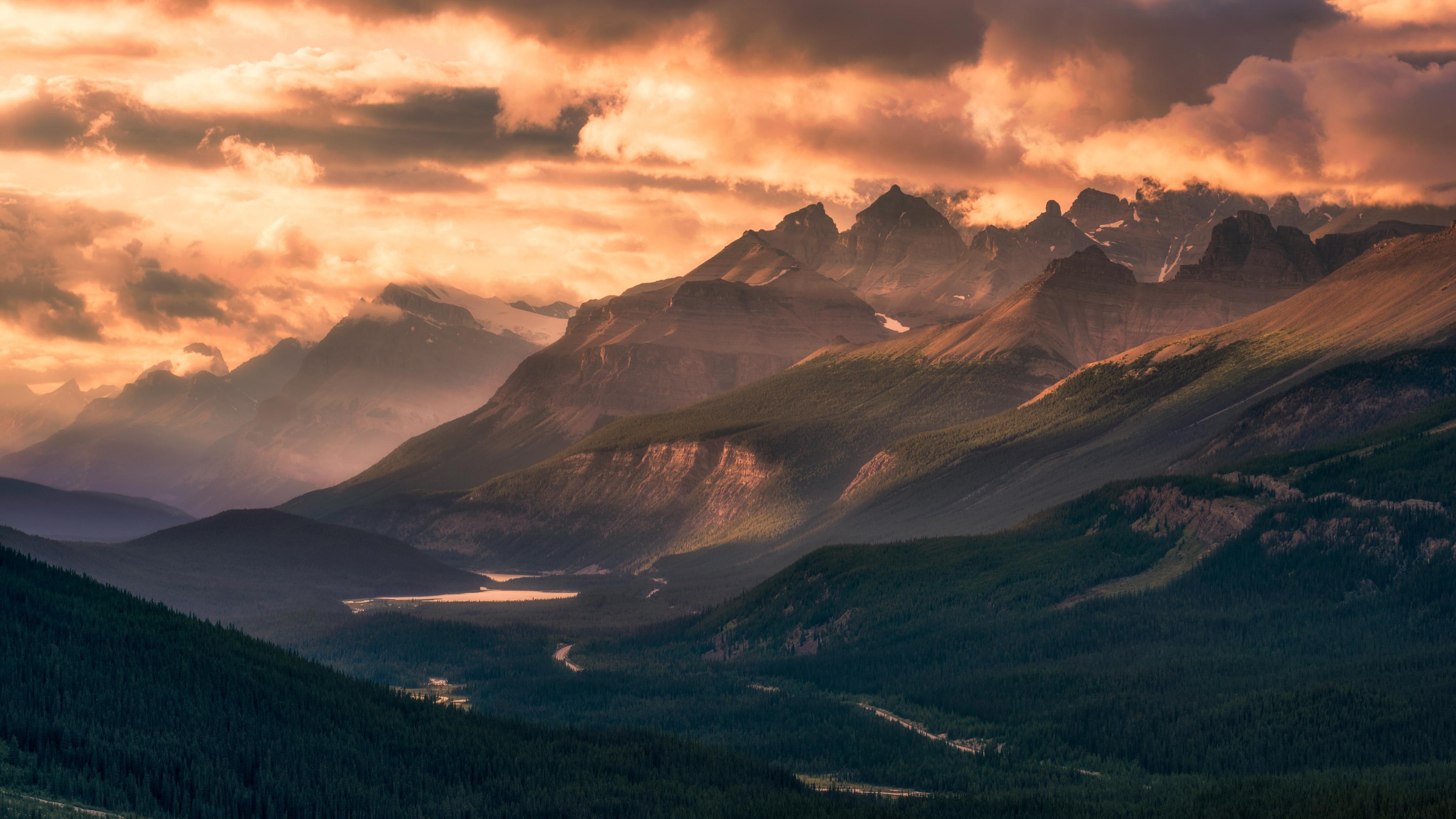 4k Cloudy Forest Wallpapers - Wallpaper Cave