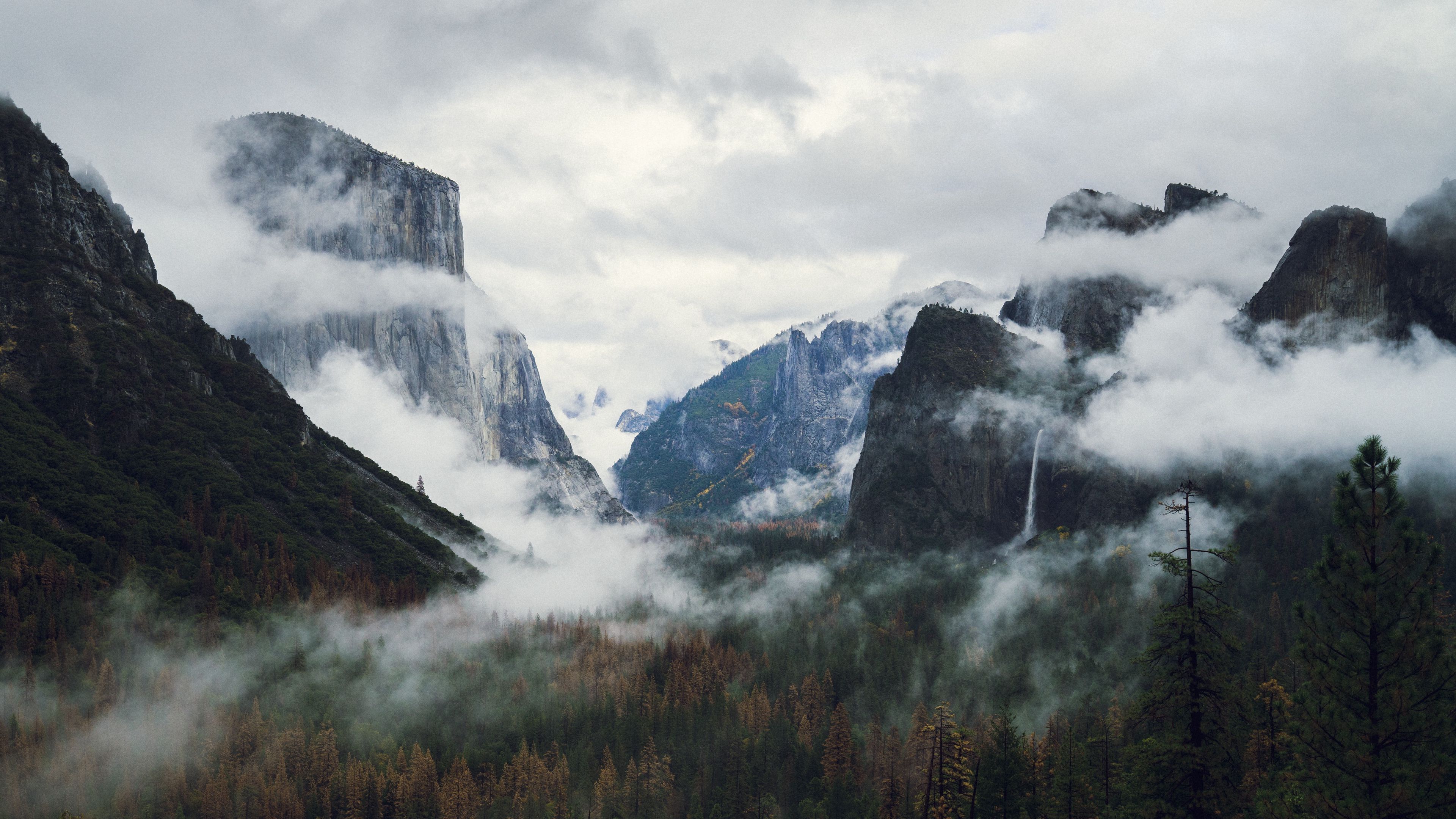 4k Cloudy Forest Wallpapers - Wallpaper Cave