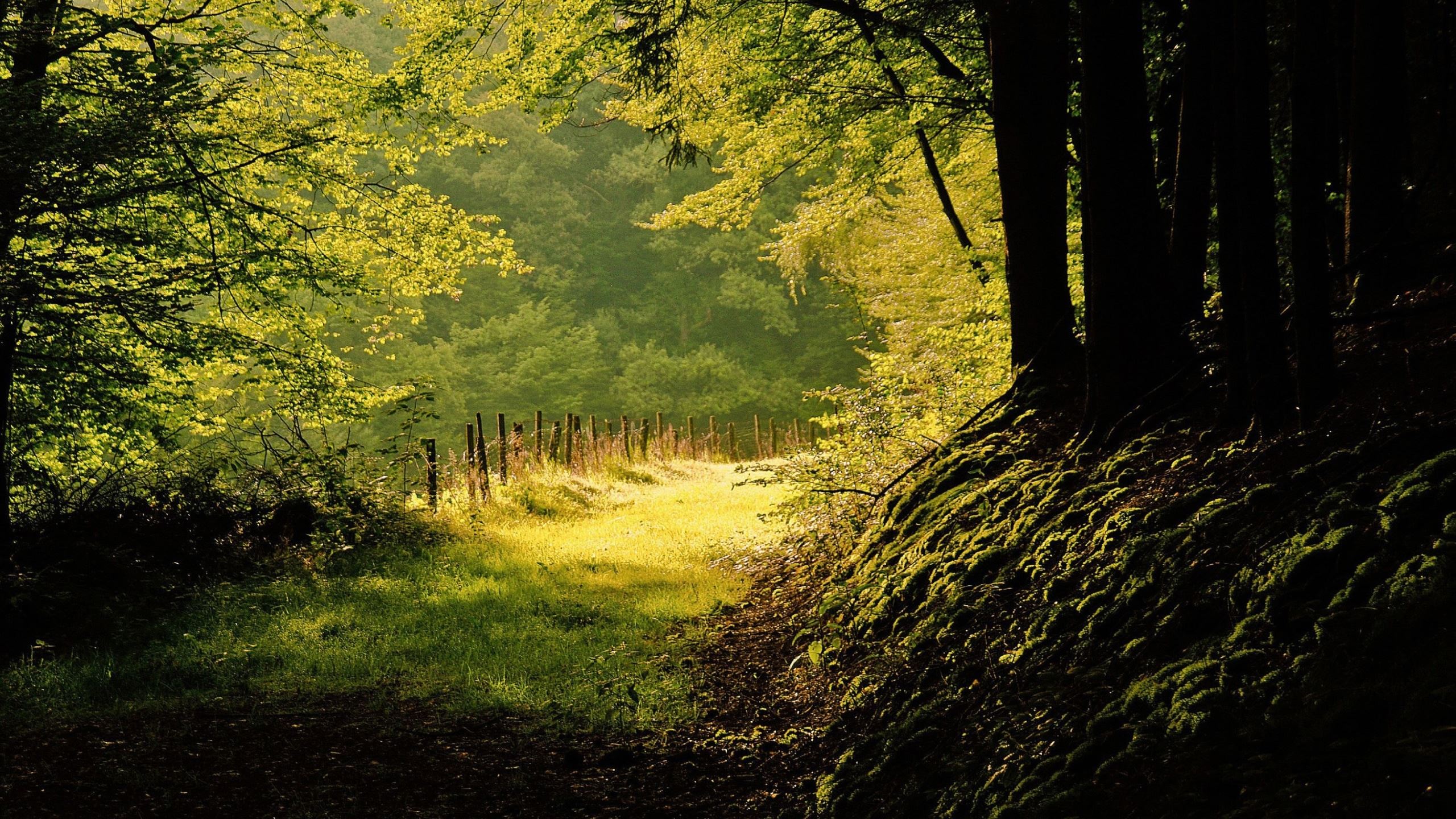 Cool Summer Day Wallpapers - Wallpaper Cave