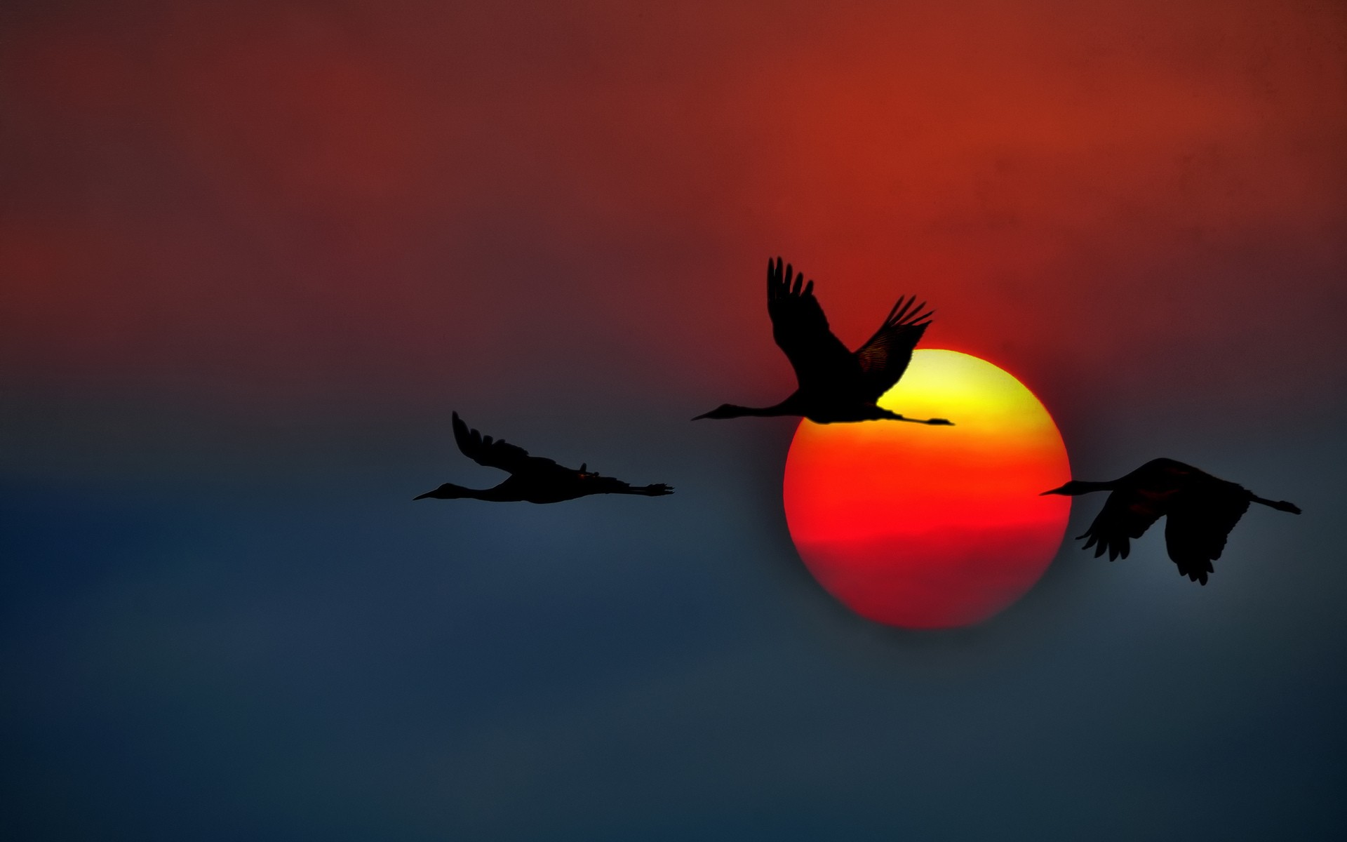 Sunset And Birds Wallpapers - Wallpaper Cave