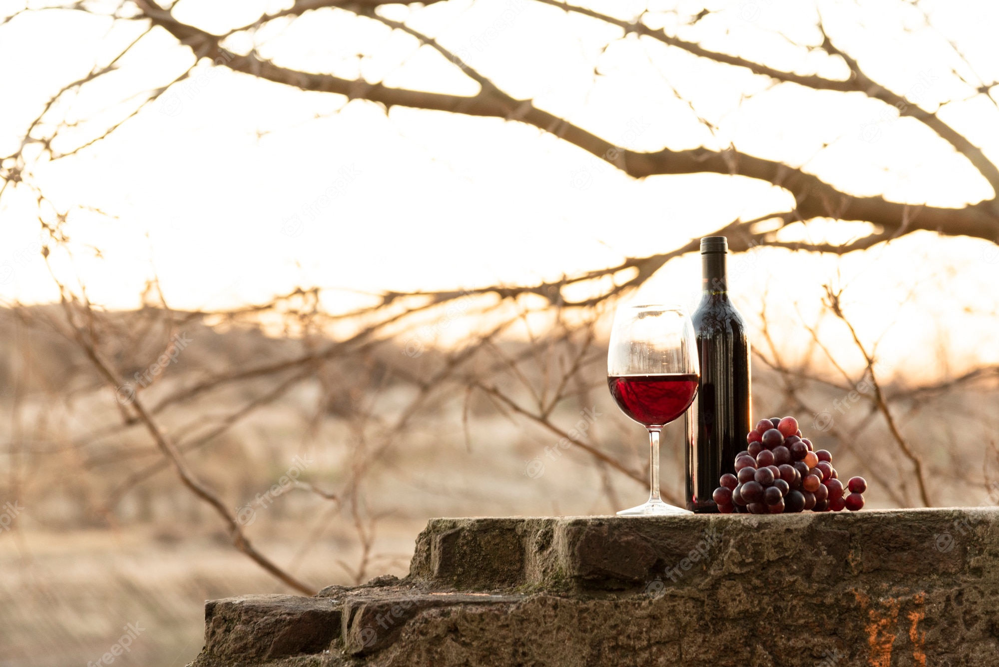 Autumn And Wine Wallpapers - Wallpaper Cave