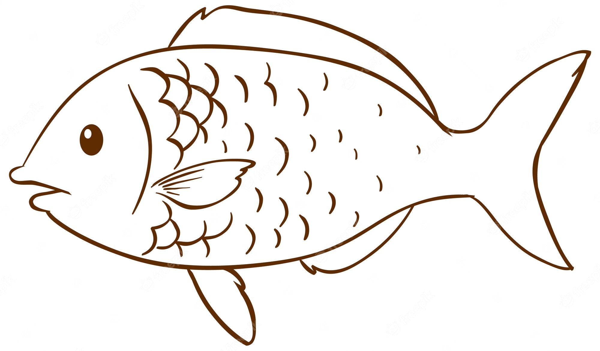 Fish Drawing Wallpapers - Wallpaper Cave
