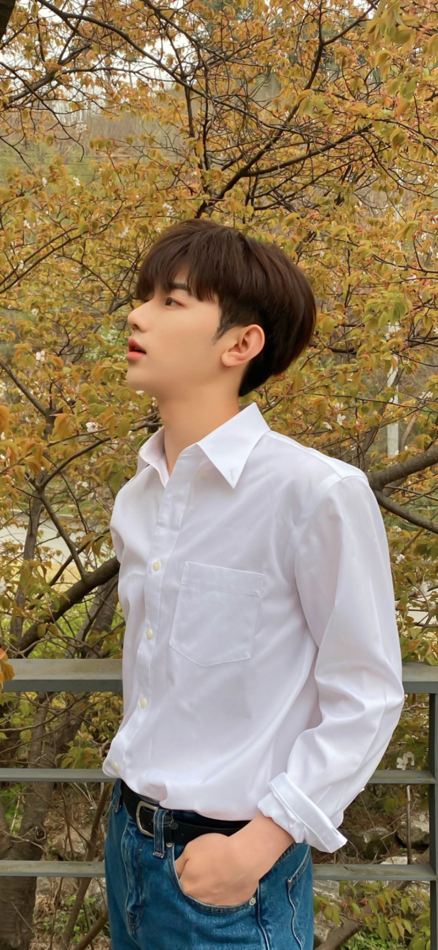 ZB1 Wallpapers - Wallpaper Cave