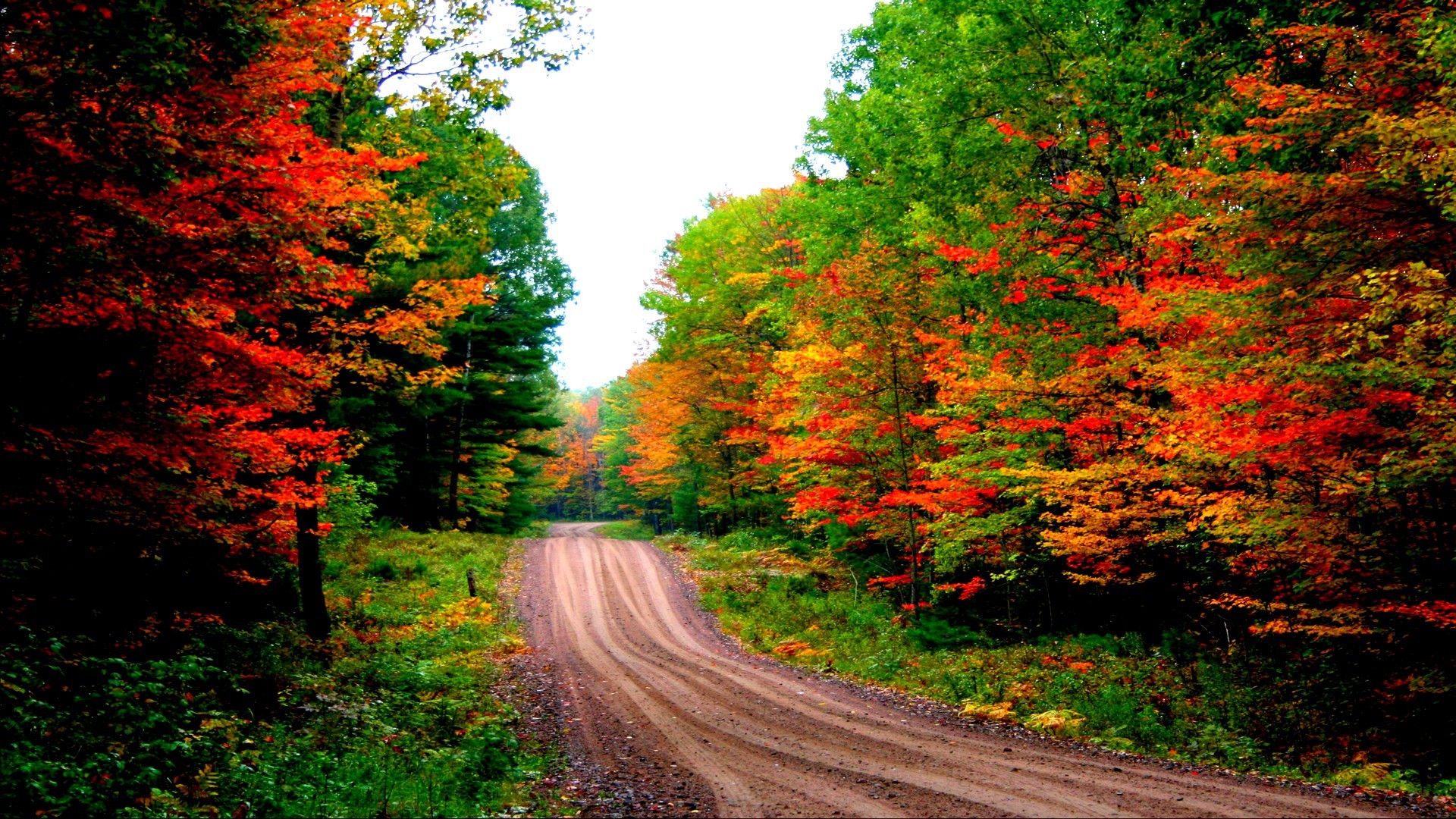 Autumn Season Road Wallpapers - Wallpaper Cave