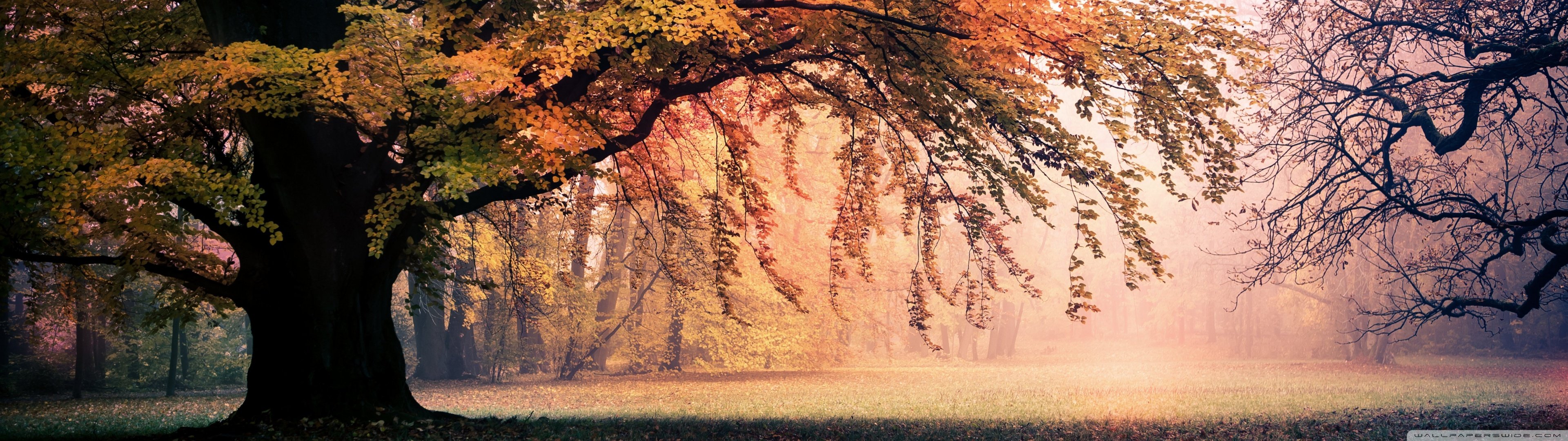 Red Autumn 3840x1080 Wallpapers - Wallpaper Cave