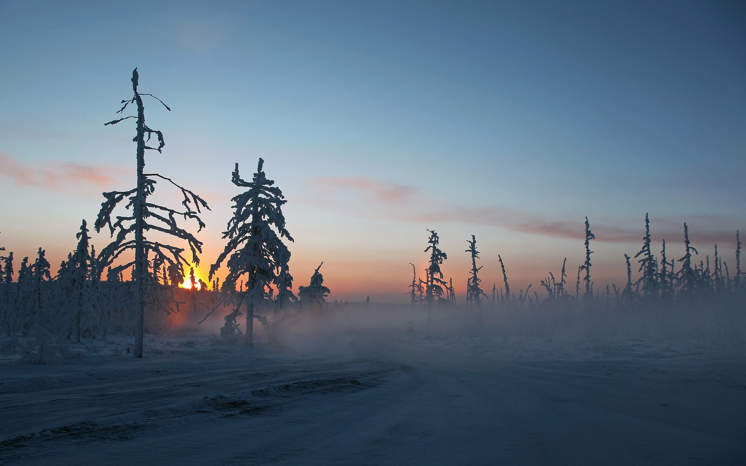 Taiga Biome Wallpapers - Wallpaper Cave