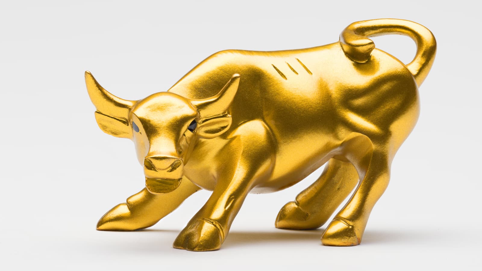 Golden Bull Wallpapers - Wallpaper Cave
