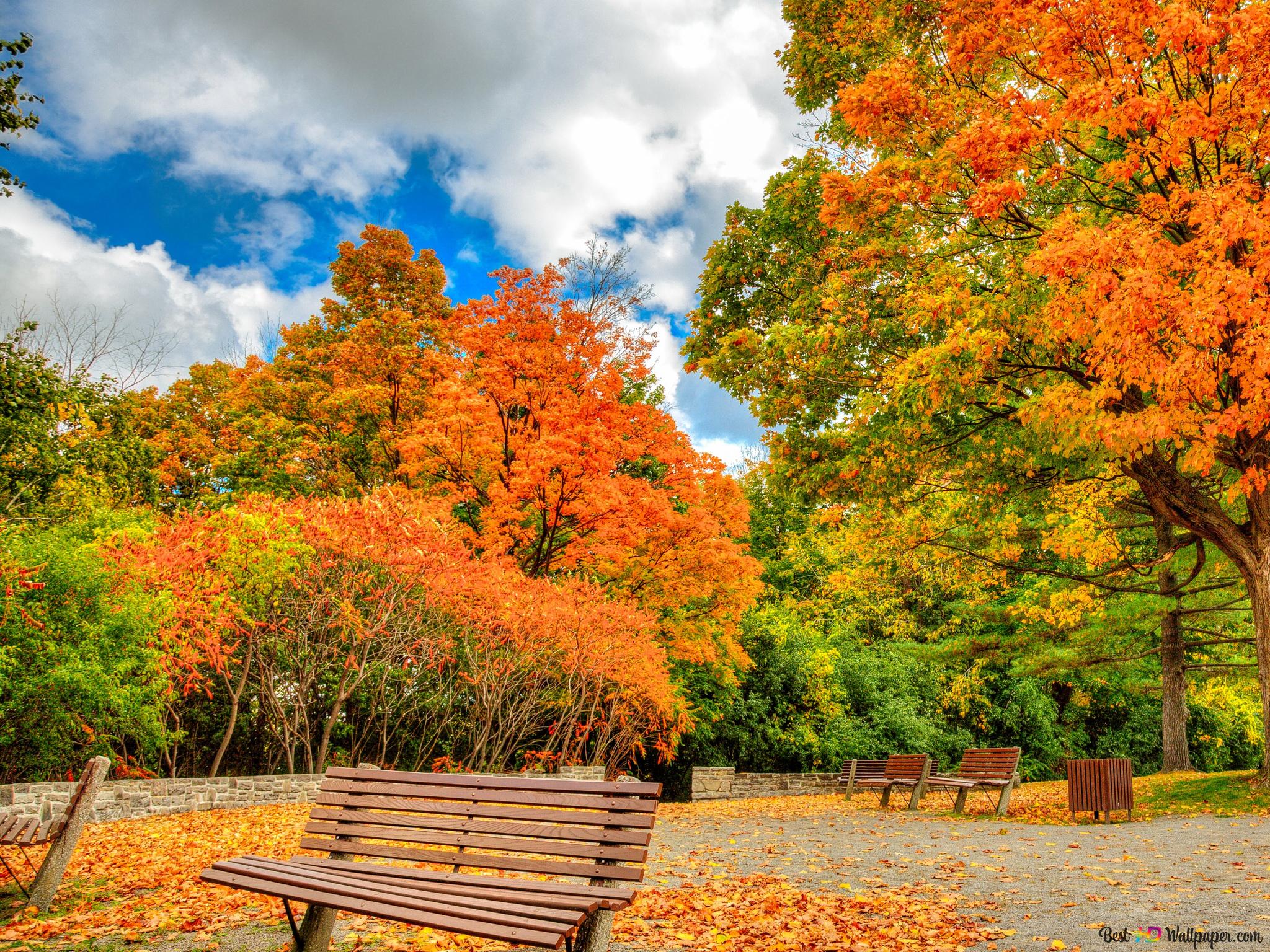 Park Desktop Wallpapers - Wallpaper Cave