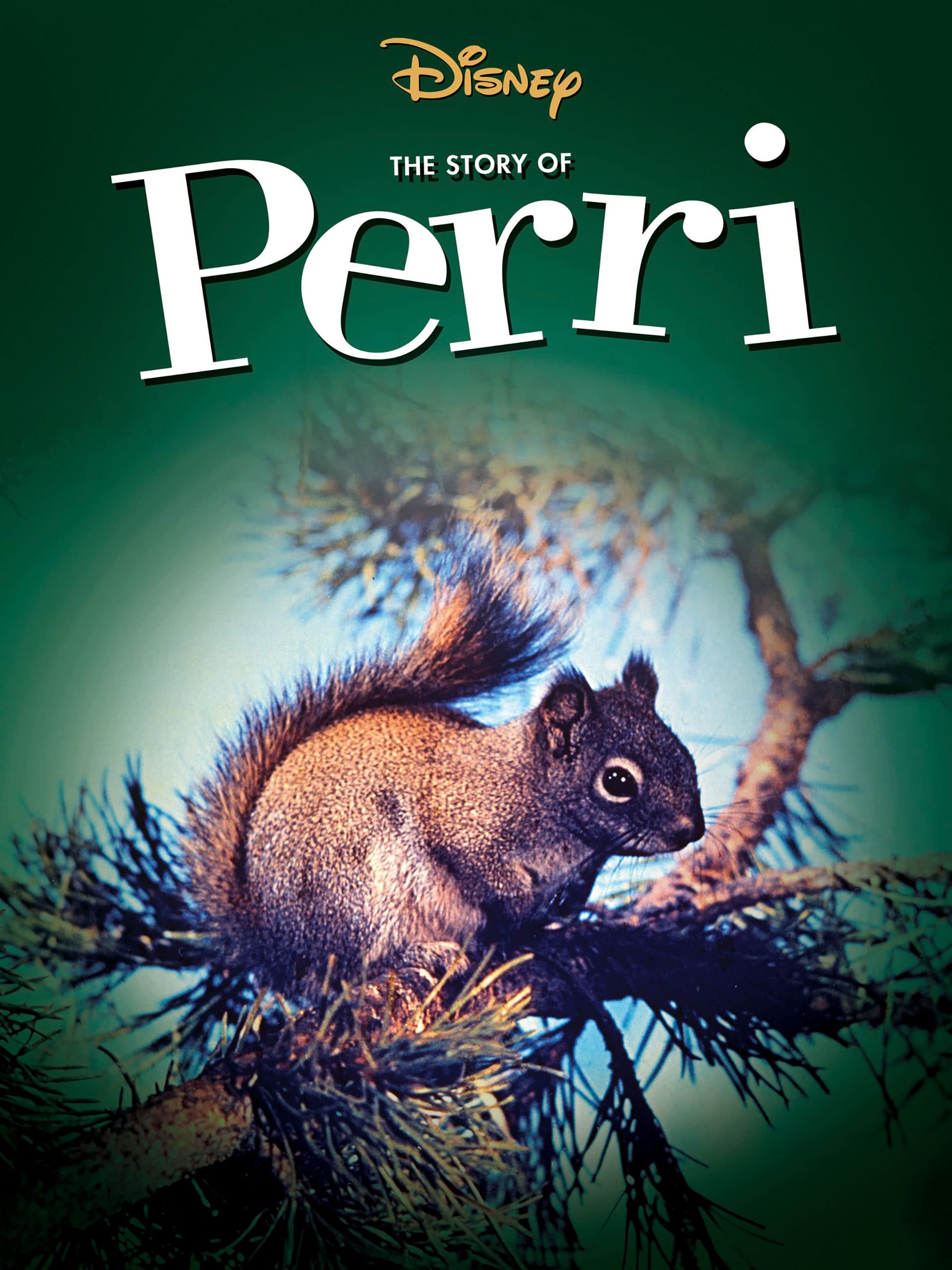 Perri Squirrel Wallpapers - Wallpaper Cave