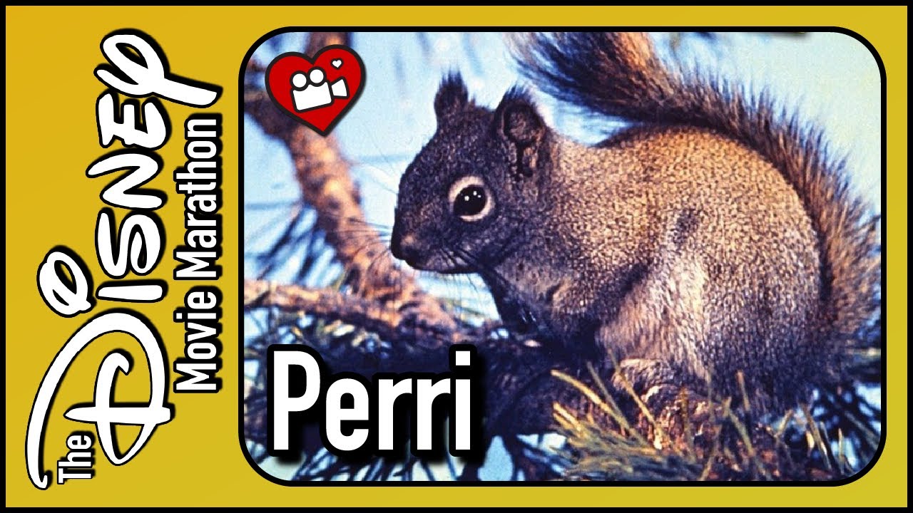 Perri Squirrel Wallpapers - Wallpaper Cave