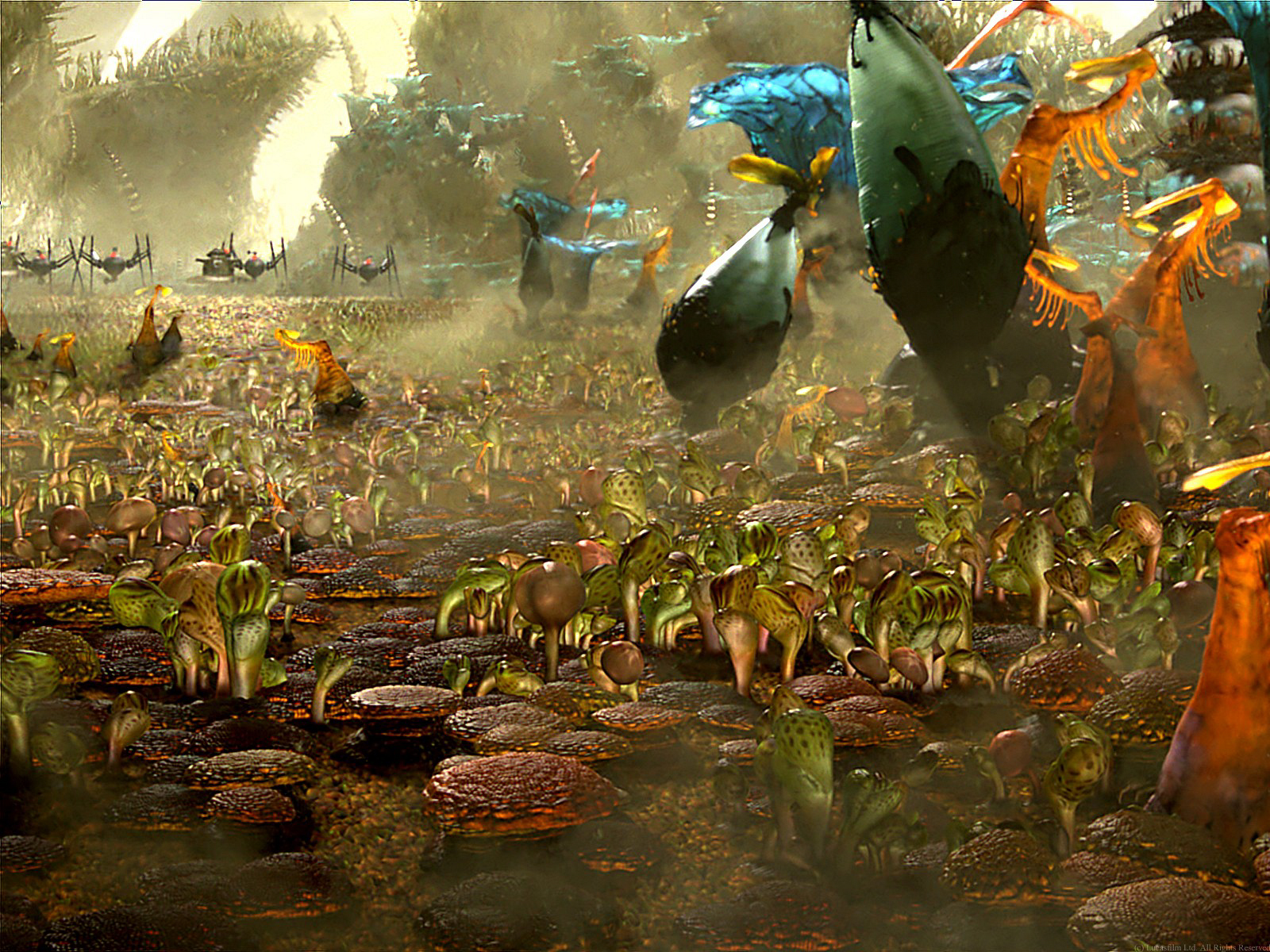 Felucia Wallpapers - Wallpaper Cave