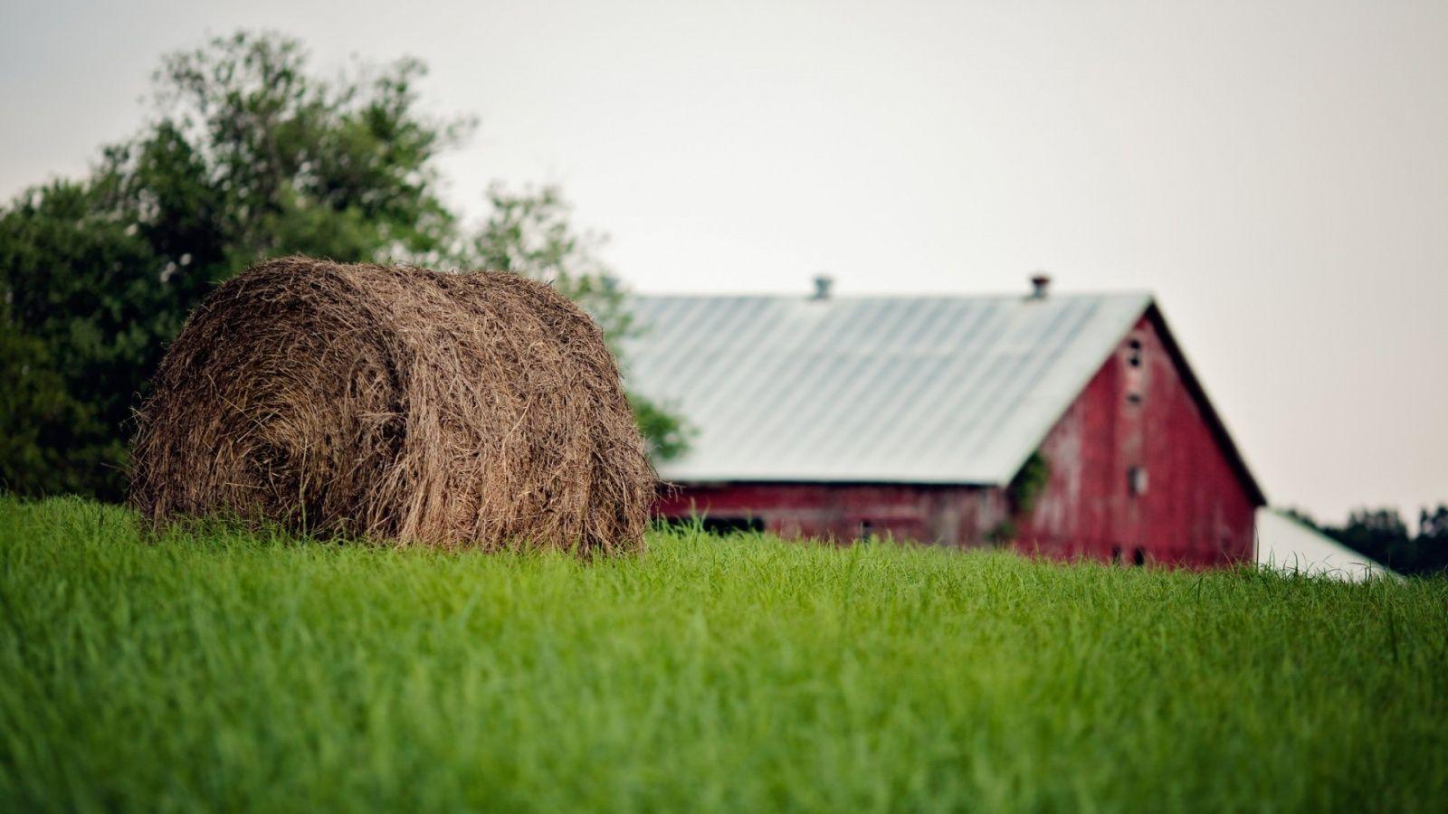 Summer Farmland Wallpapers - Wallpaper Cave