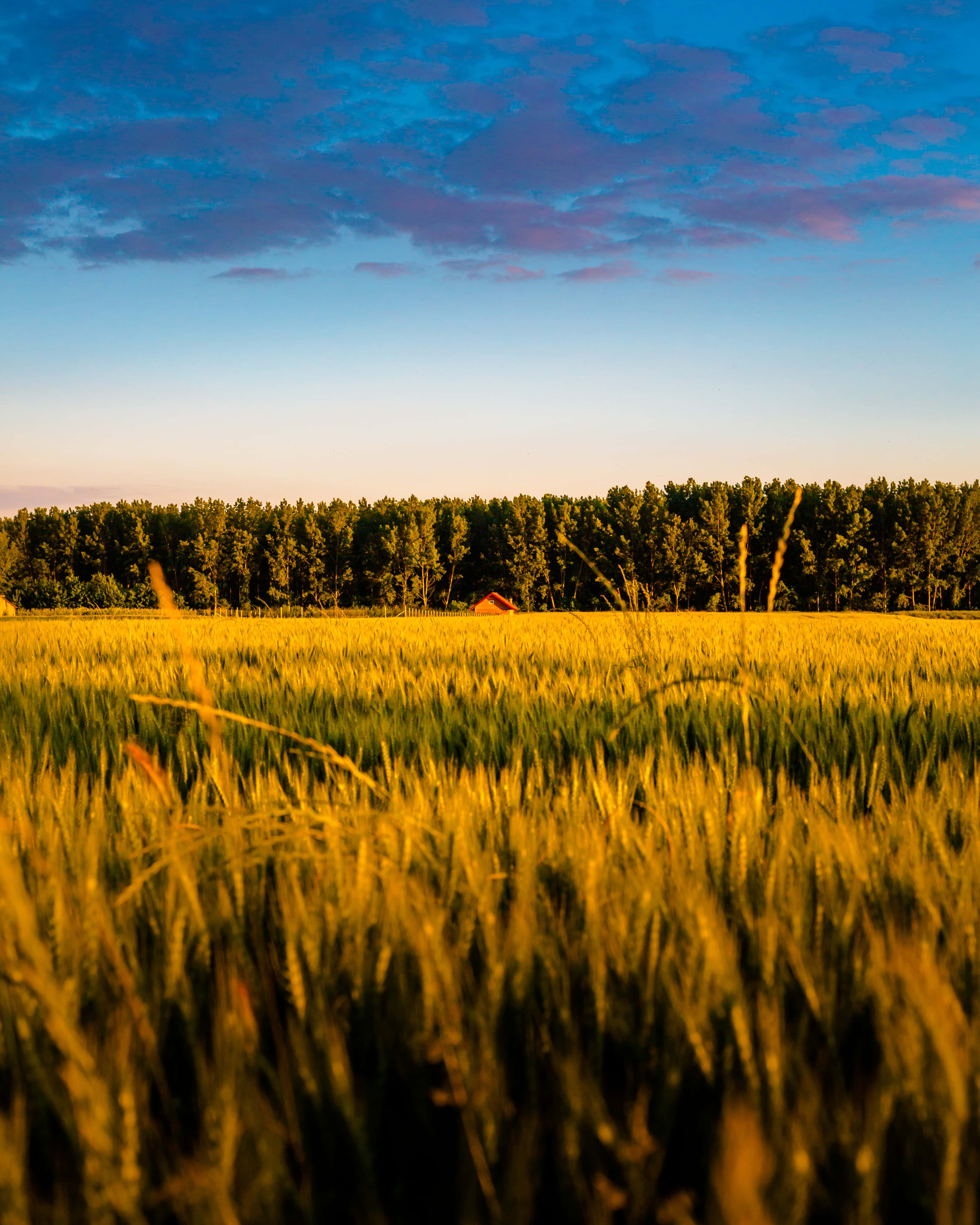 Summer Farmland Wallpapers - Wallpaper Cave