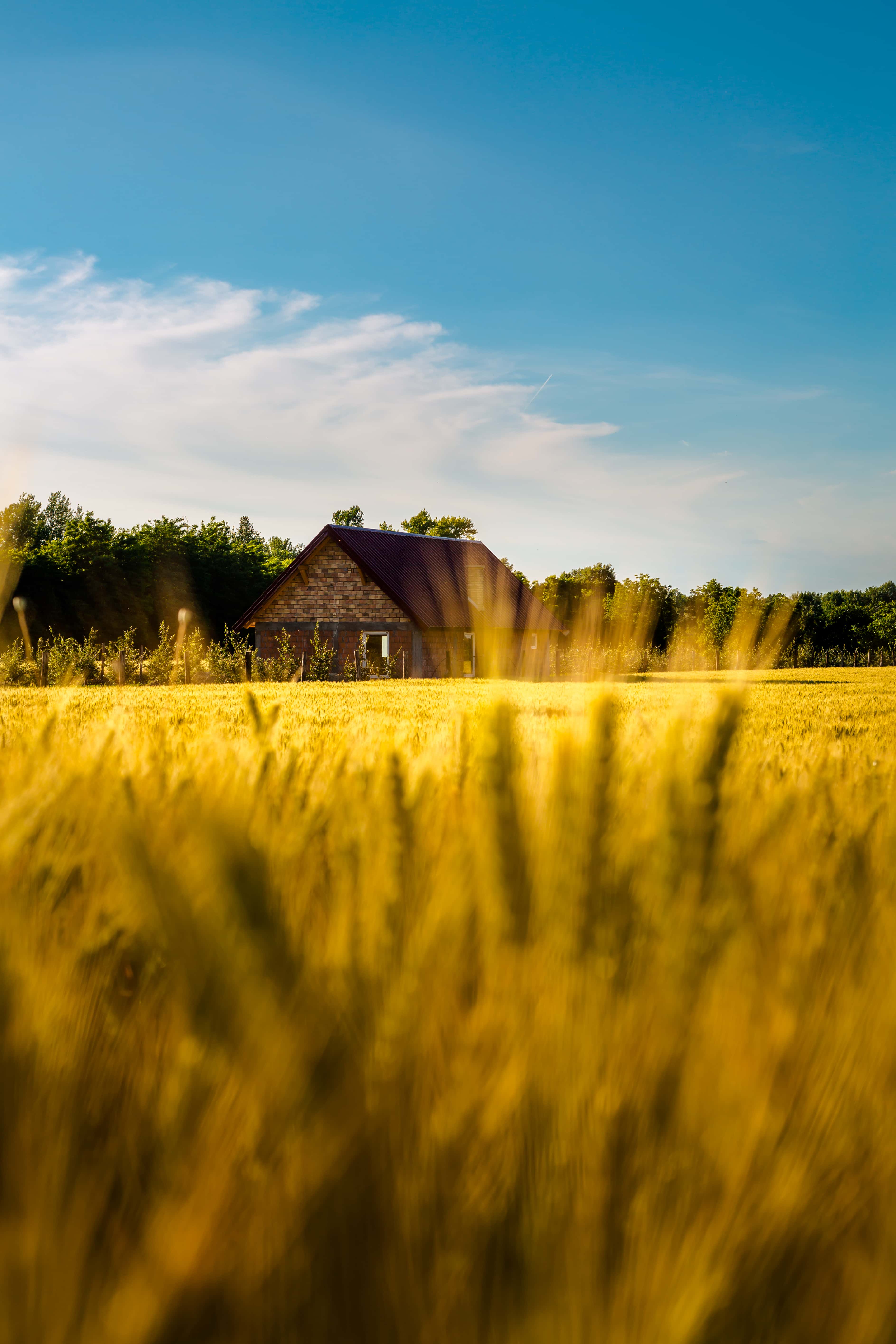 Summer Farmland Wallpapers - Wallpaper Cave
