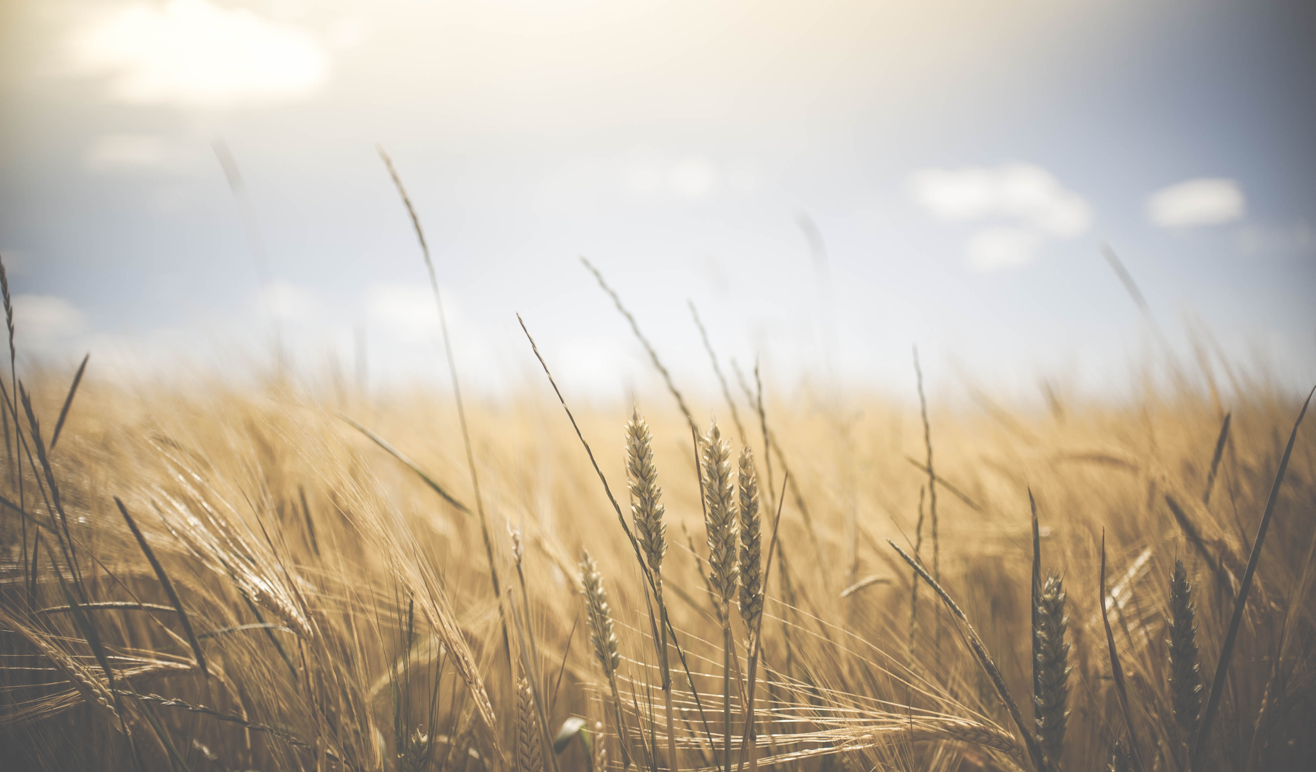Summer Farmland Wallpapers - Wallpaper Cave