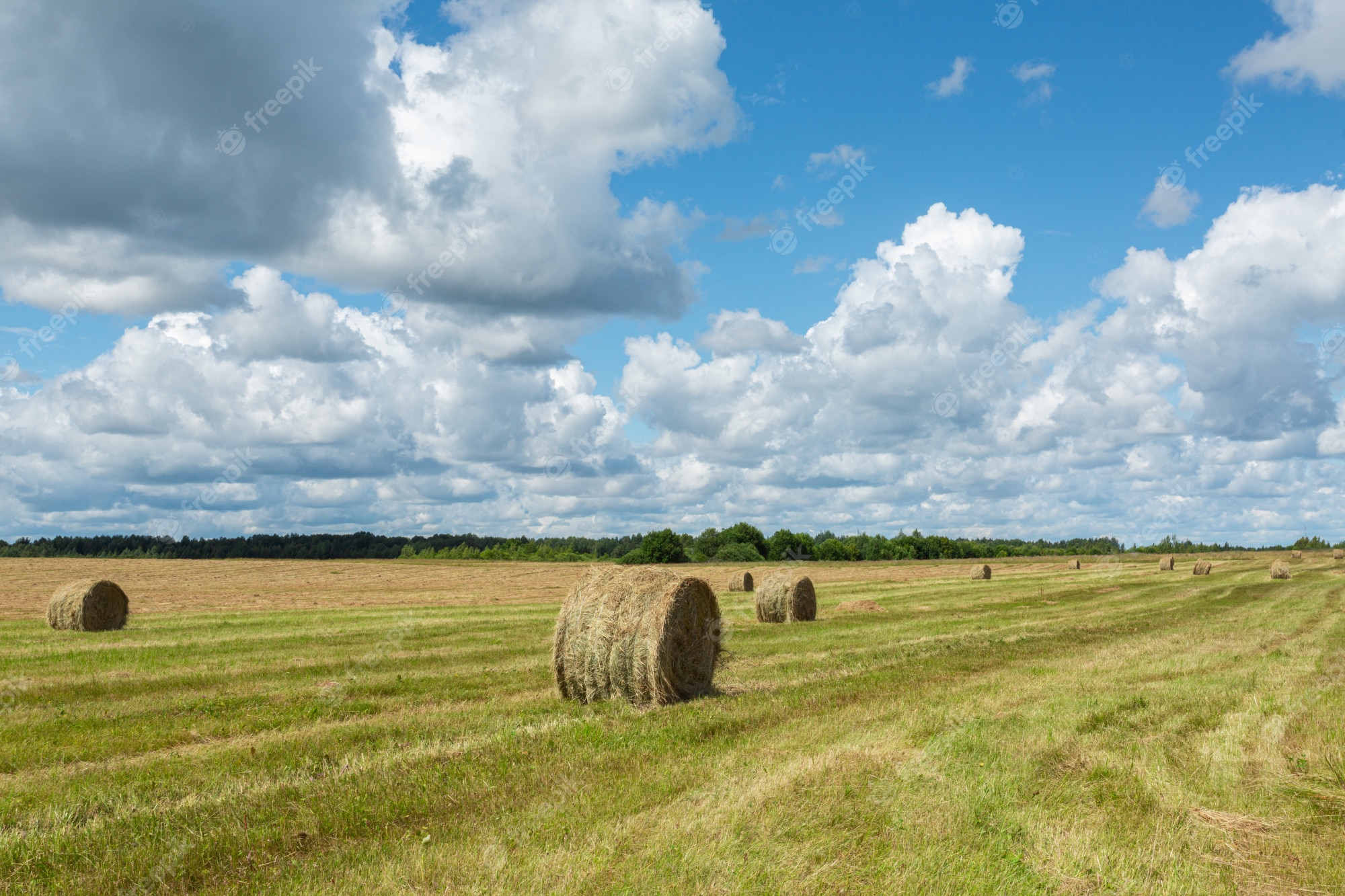 Summer Farmland Wallpapers - Wallpaper Cave
