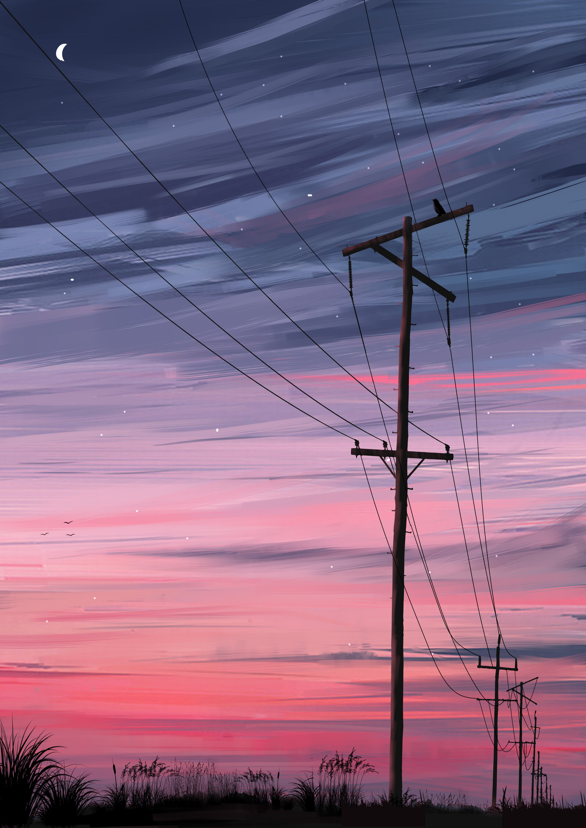 Transmission Line Wallpapers - Wallpaper Cave