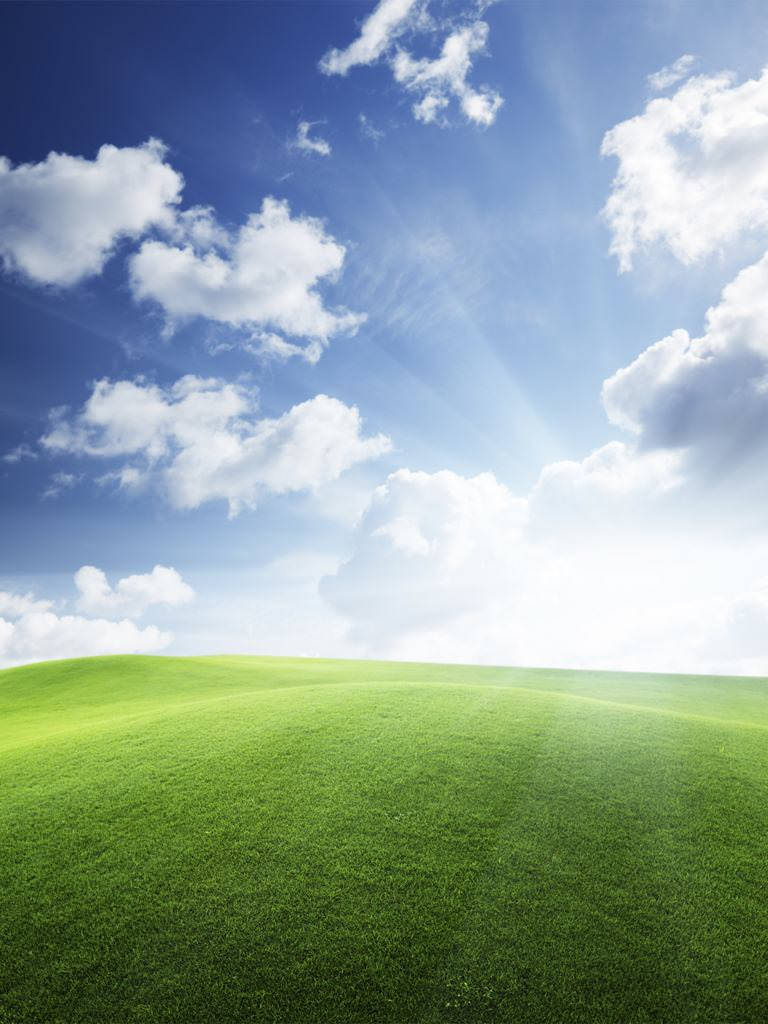 Windows XP Phone Wallpapers - Wallpaper Cave